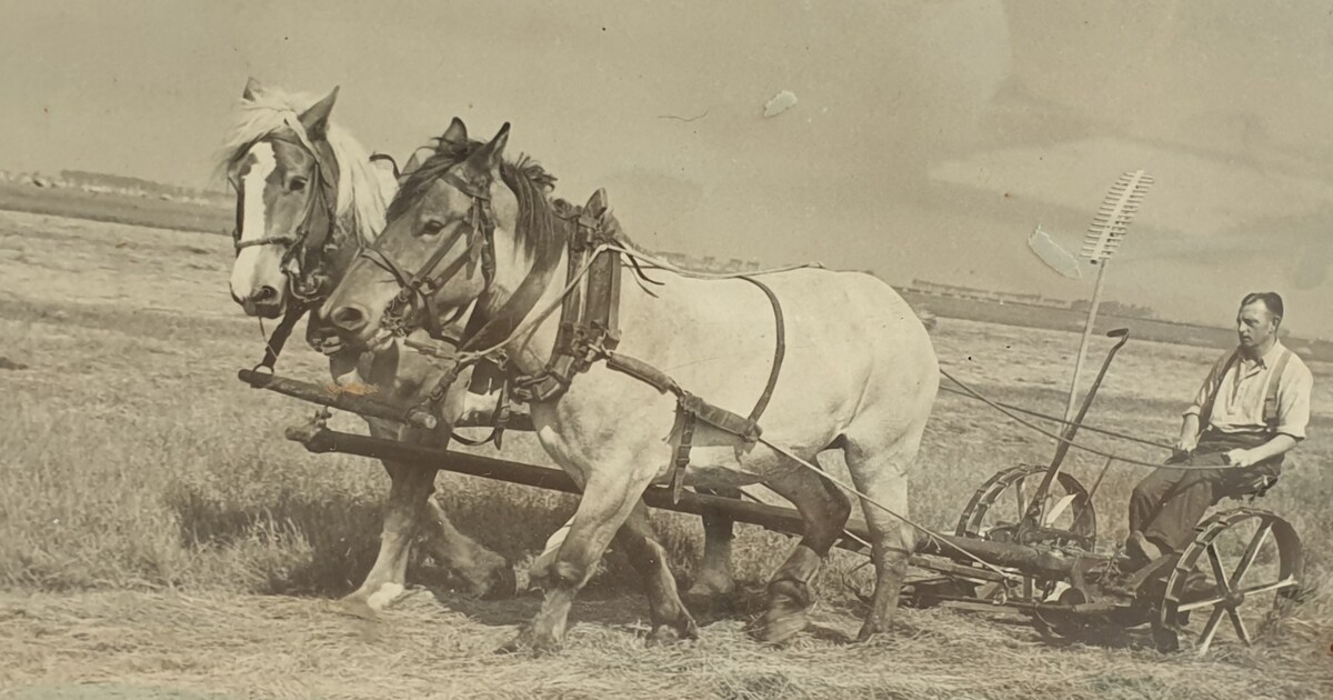 Boer Piet (1922-2020) leefde met verlies en veerkracht | Trouw