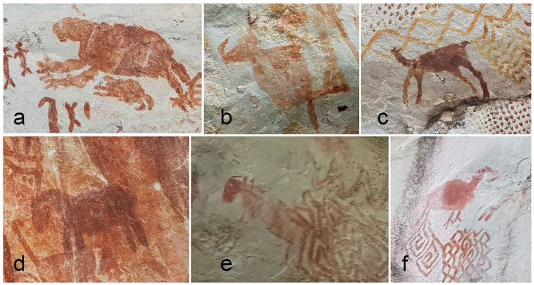 Tienduizenden Indiana Jones-achtige rotstekeningen ontdekt in de ...