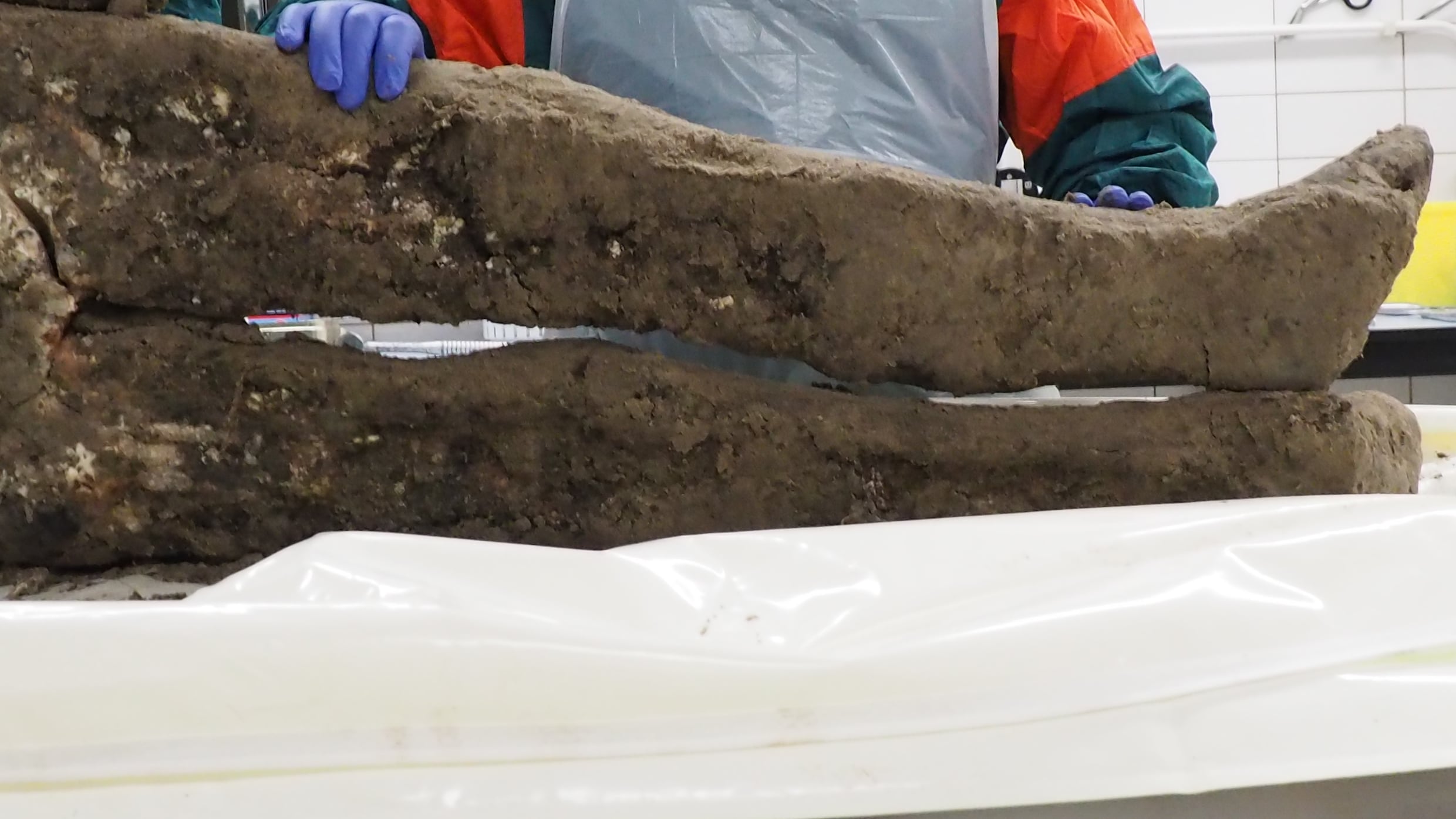 Dit lijkenveldje in Amsterdam biedt een schat aan informatie voor ...