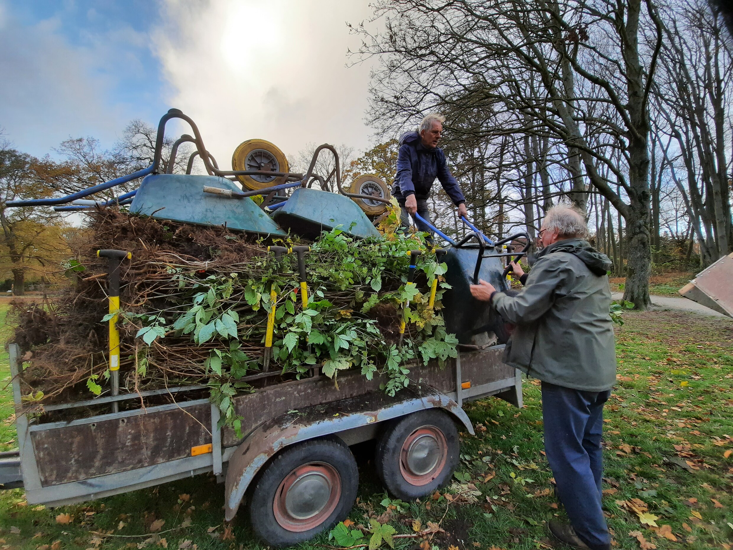 Bomen planten om CO2-uitstoot te compenseren? Dat kan ook gewoon in ...