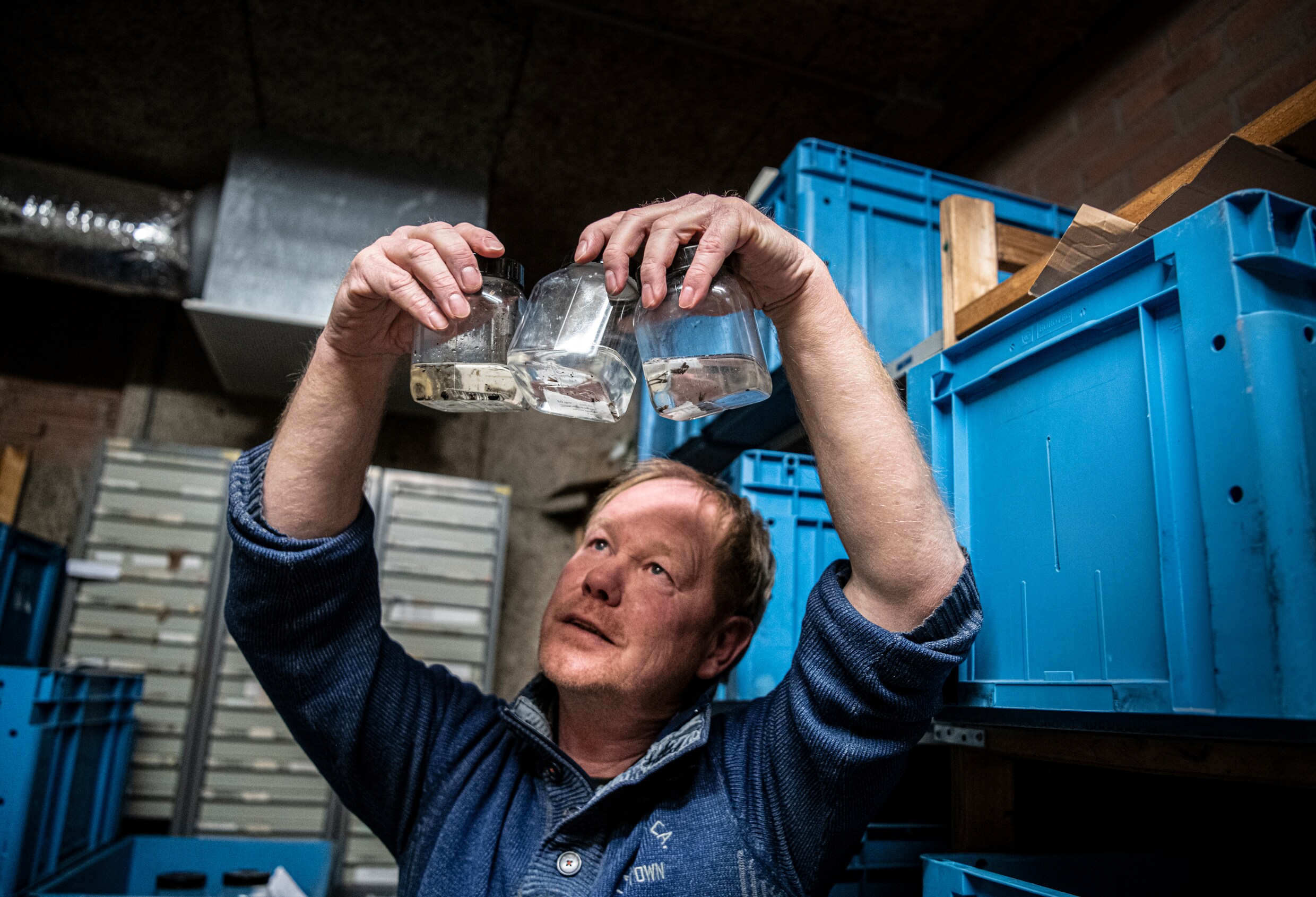 Maandenlang staren naar duizenden insecten, heerlijk vindt Jan Kuper ...
