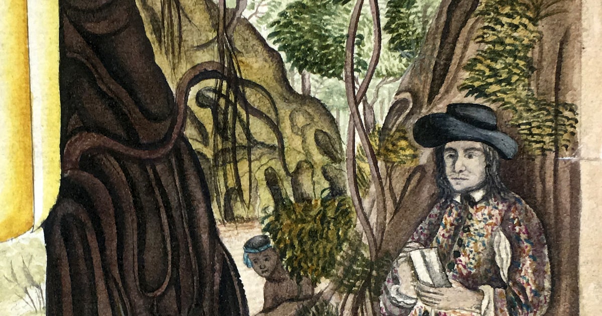 Georg Everhard Rumphius, de onbekende aartsvader van de Indische ...