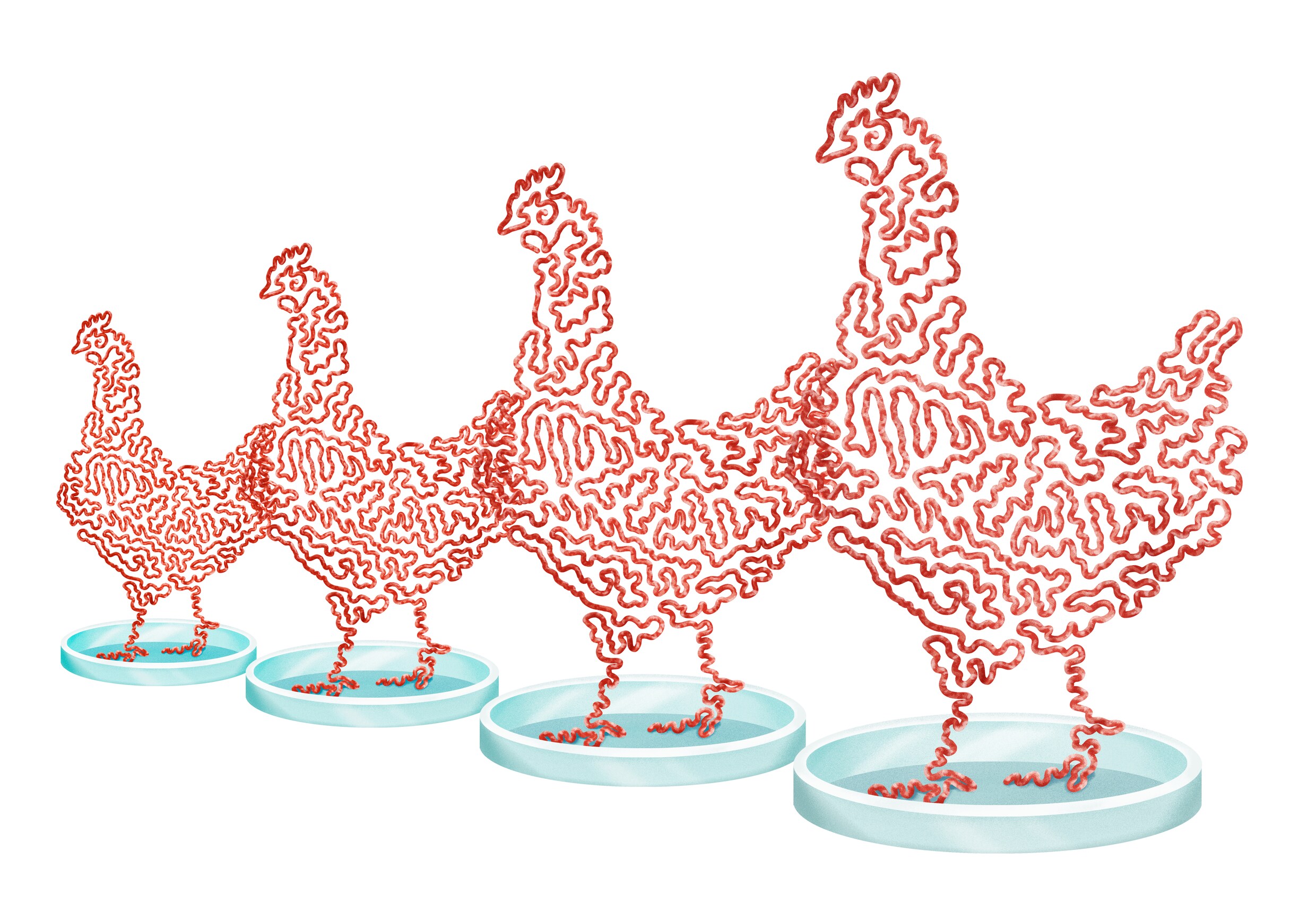 Eerste studie toont: een stukje kweekvlees belast het milieu veel ...