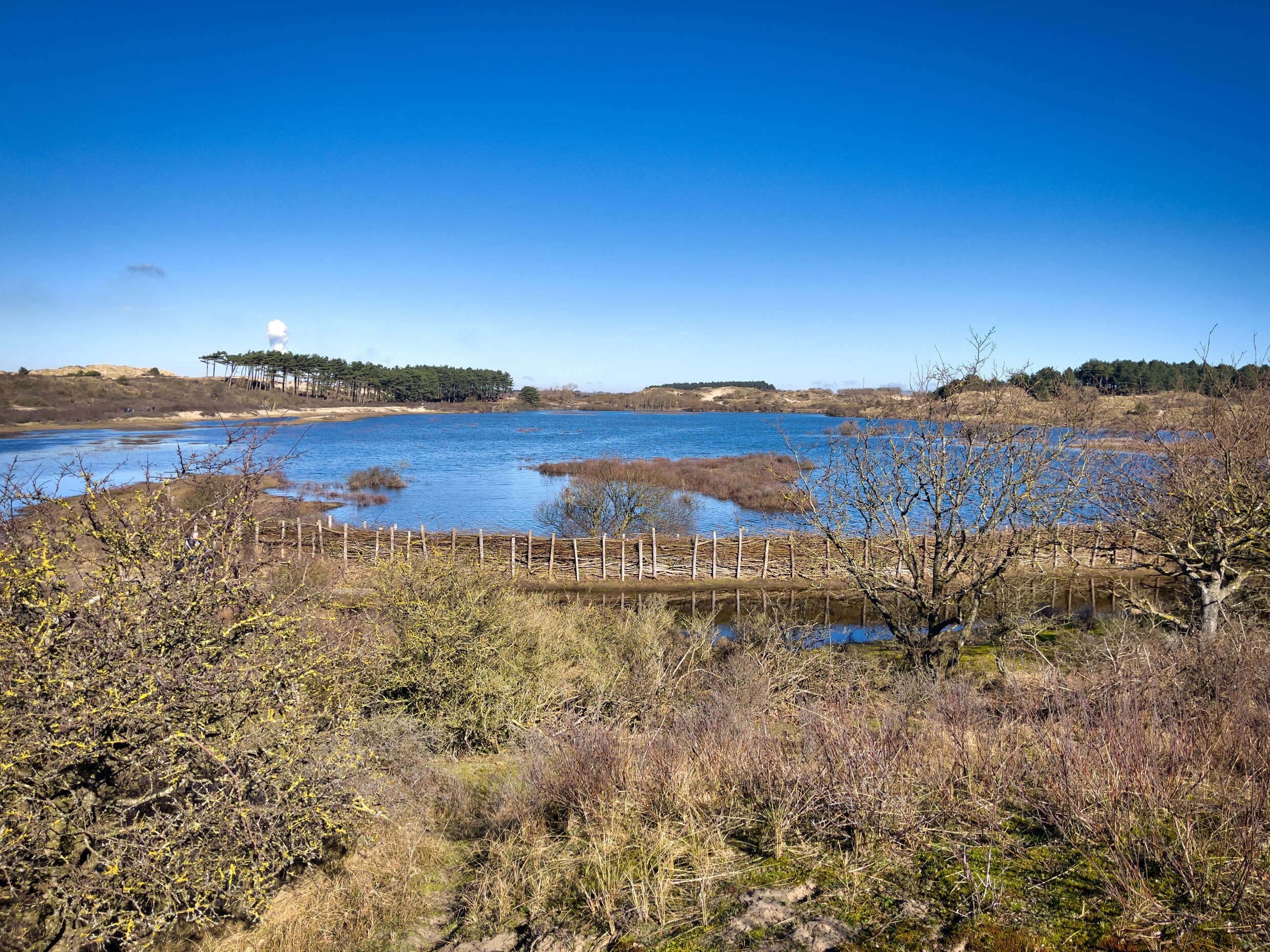 Duinen die mogen stuiven en rollen | Trouw
