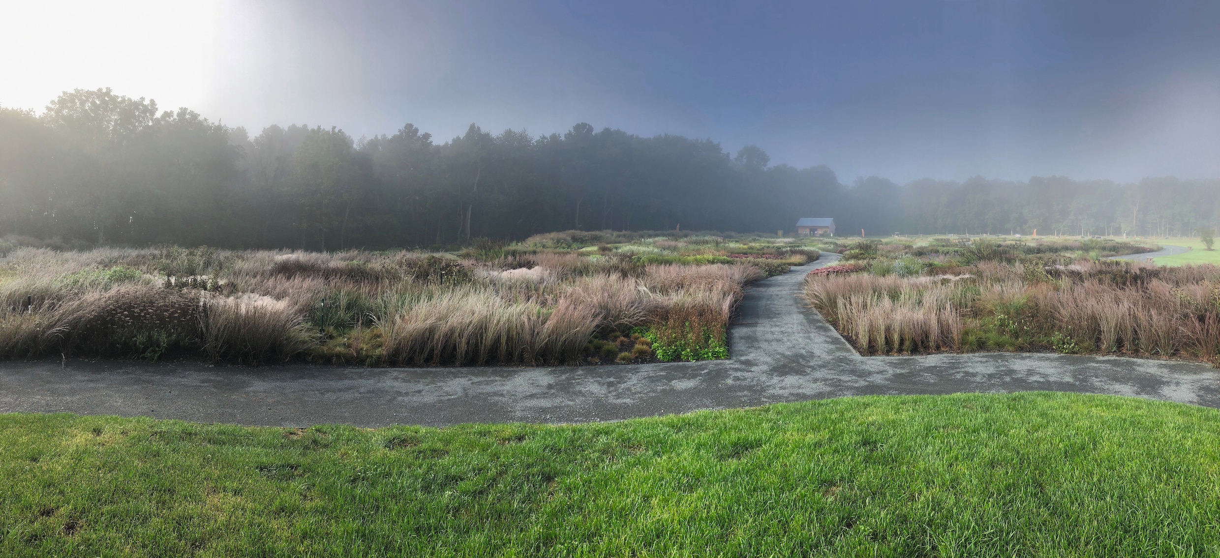 Piet Oudolf (76) is prominent tuinarchitect. ‘Planten zijn personages ...