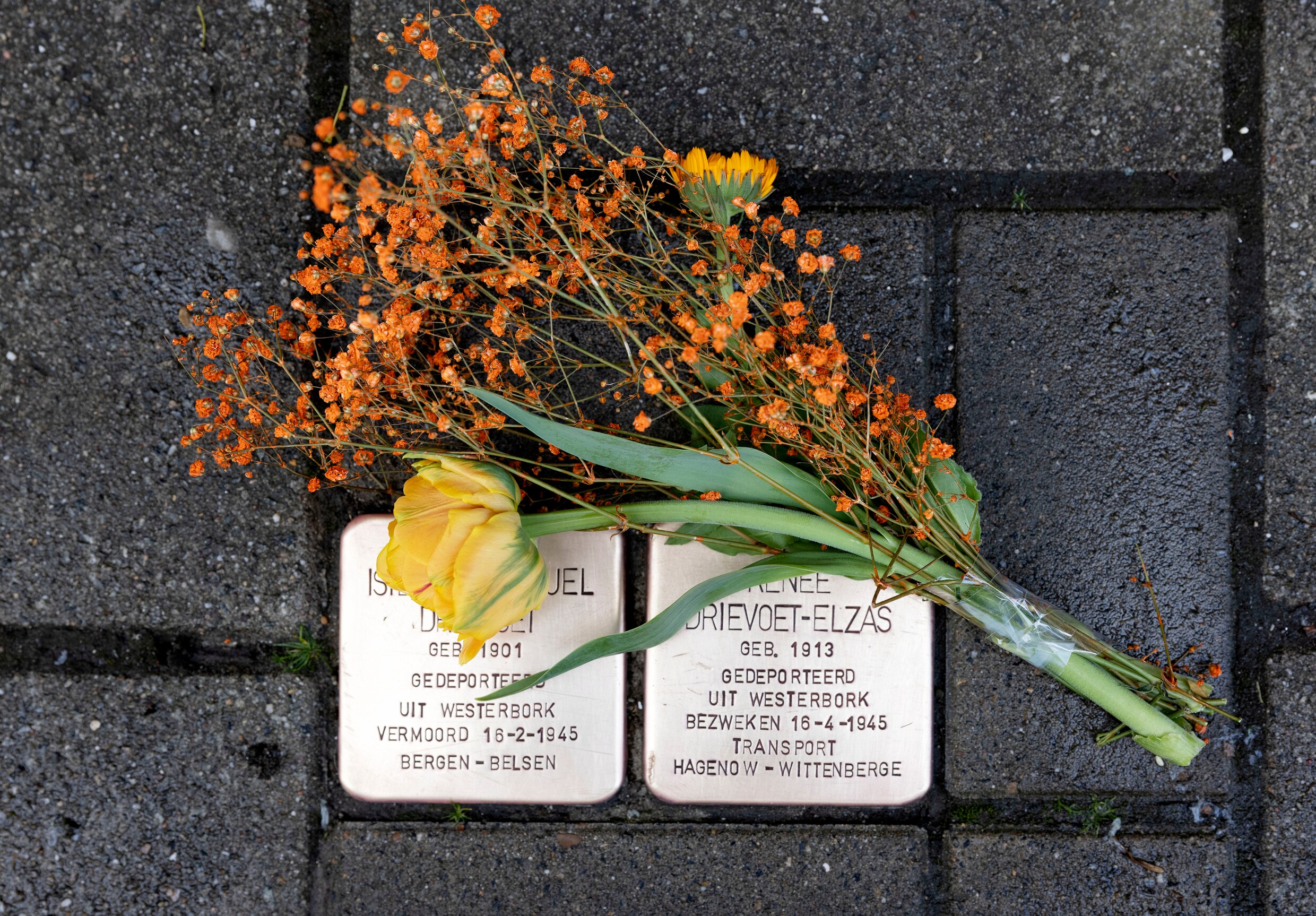 Bloemendalers met Joodse roots willen geen gedenkplaatjes voor vermoord ...