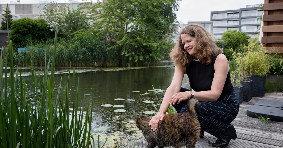 Volgens deze techniekfilosofe was de toeslagenaffaire het topje van de ...