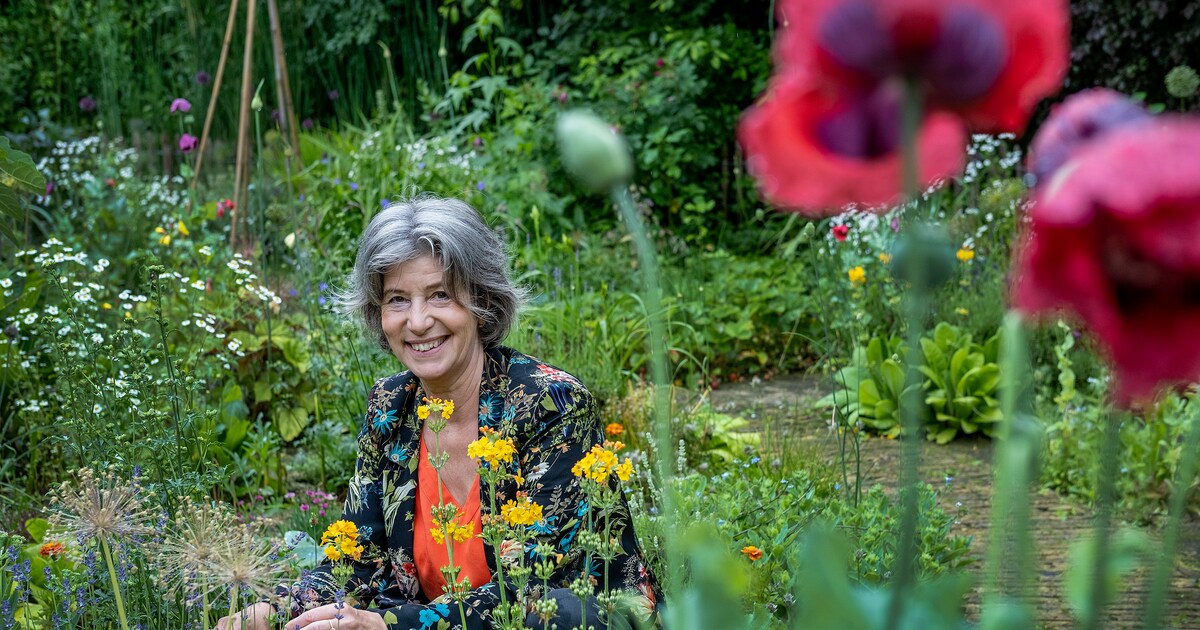 Smaakexplosies met biologische bloemen op je bord: In de natuur valt ...