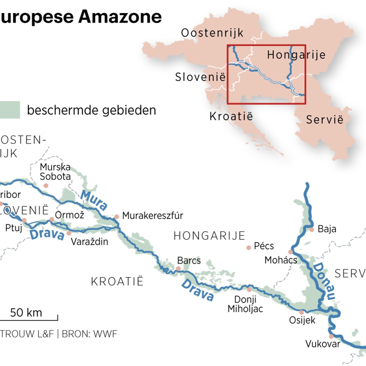 Kaart Van De Amazone Rivier Stroomopwaarts Op De Amazone Rivier | Bouw