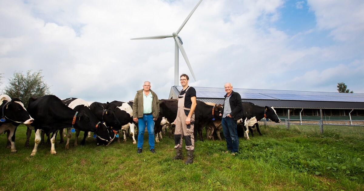 Friese vrienden vertellen goed nieuws. ‘Daar worden mensen blij van ...