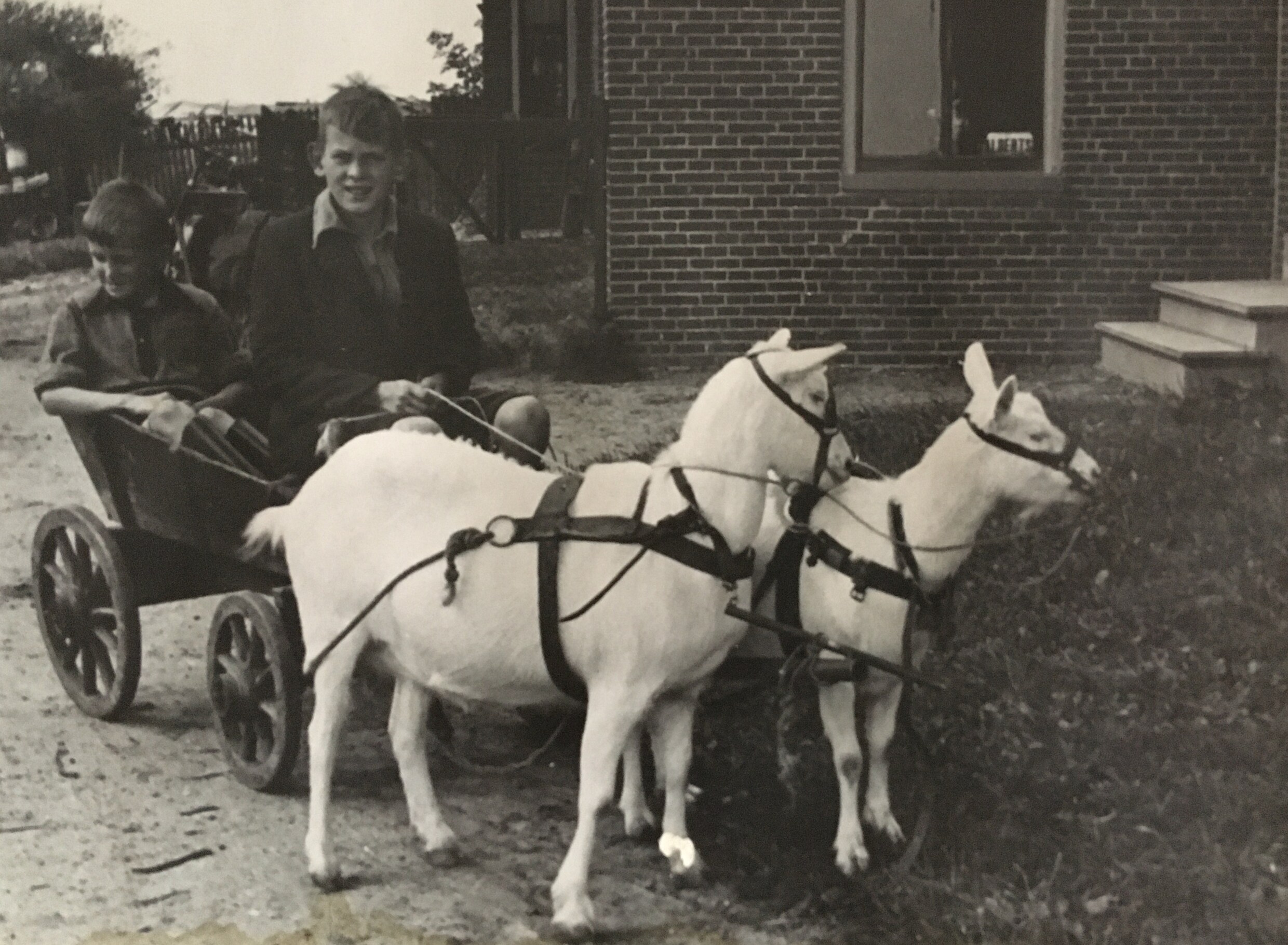 Engel Jan Struif was een echte apostel van het Grunnegs | Trouw