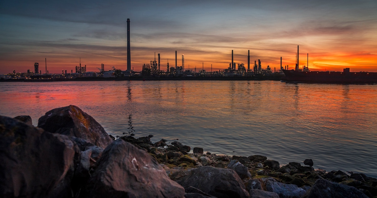 Pensioenfonds PFZW vergroent zijn aandelenportefeuille en neemt ...
