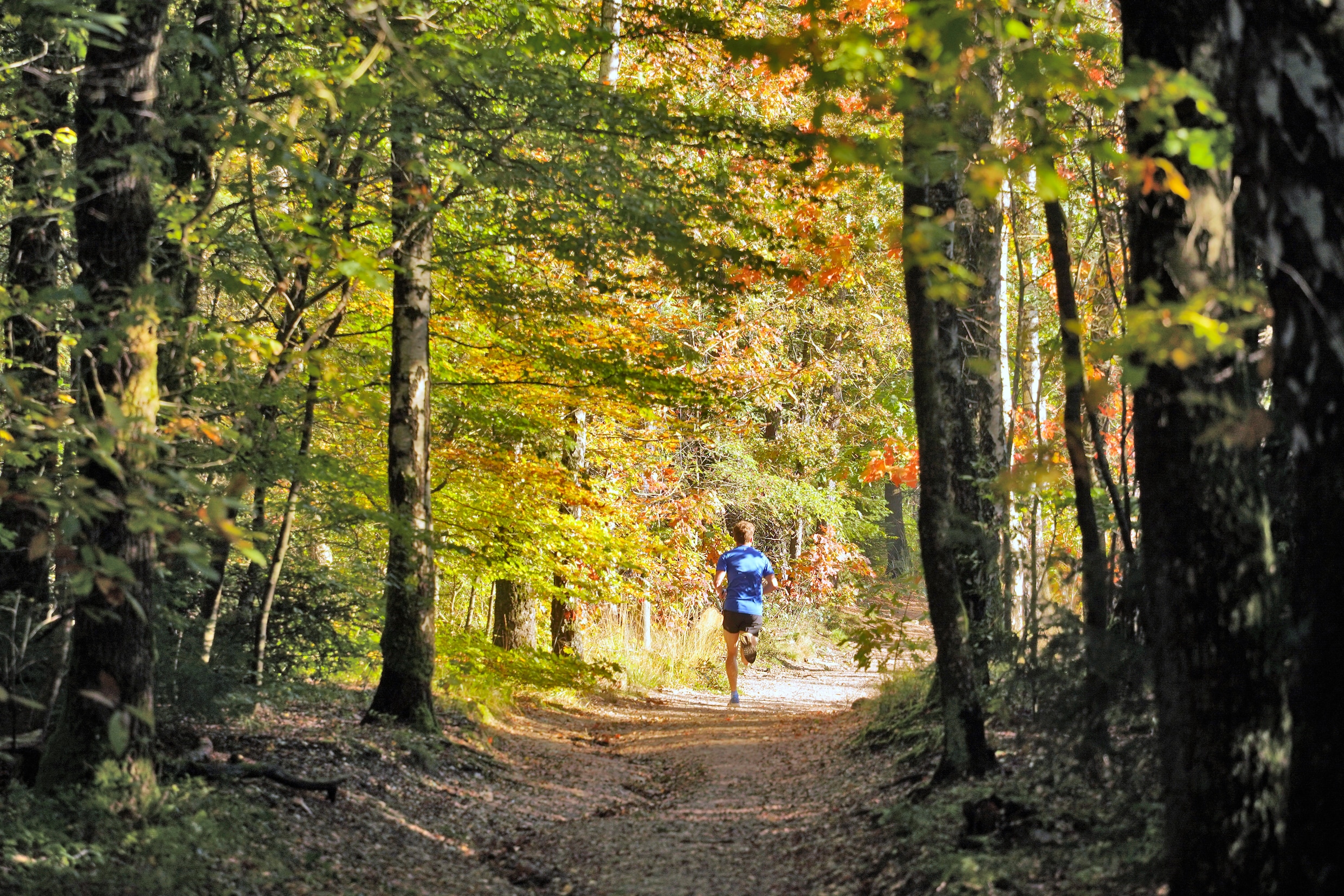 Al die hardlopers en mountainbikers, dat kan de natuur niet aan | Trouw