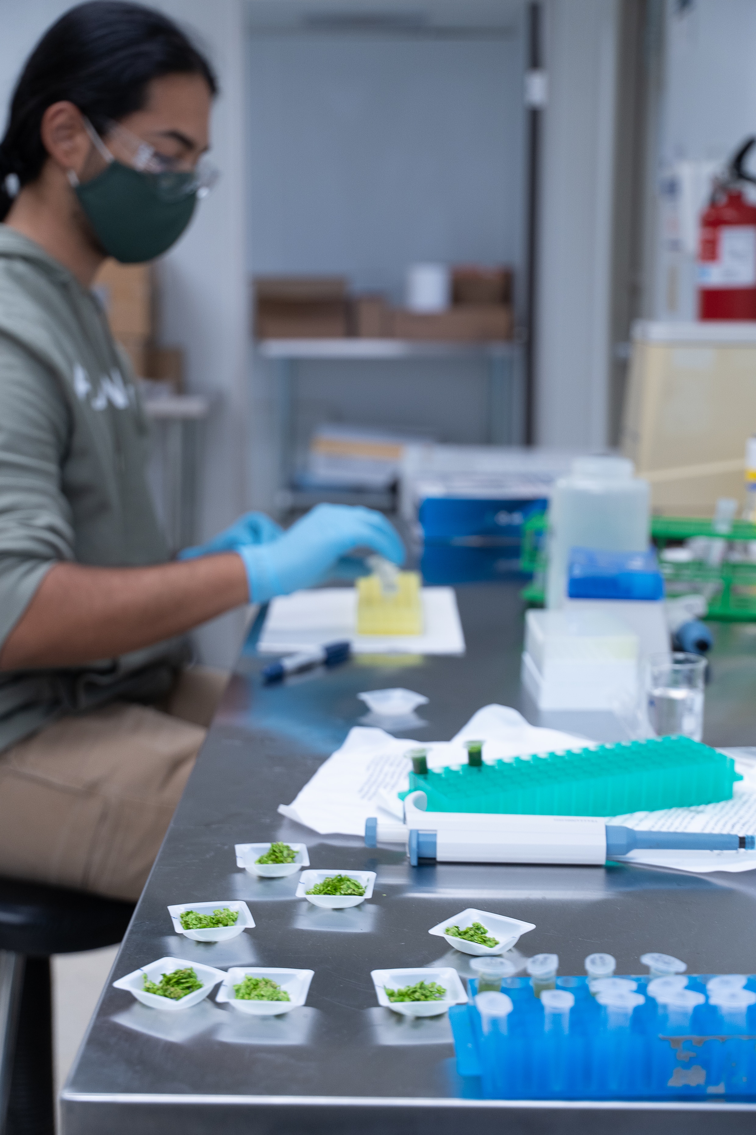 Eendenkroos in plaats van ei? Deze Nederlandse start-up in Californië ...