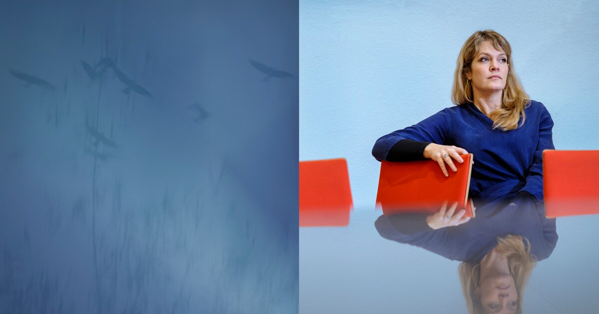 Straatarts Michelle van Tongerloo: ‘De zorg is een monsterlijk systeem ...