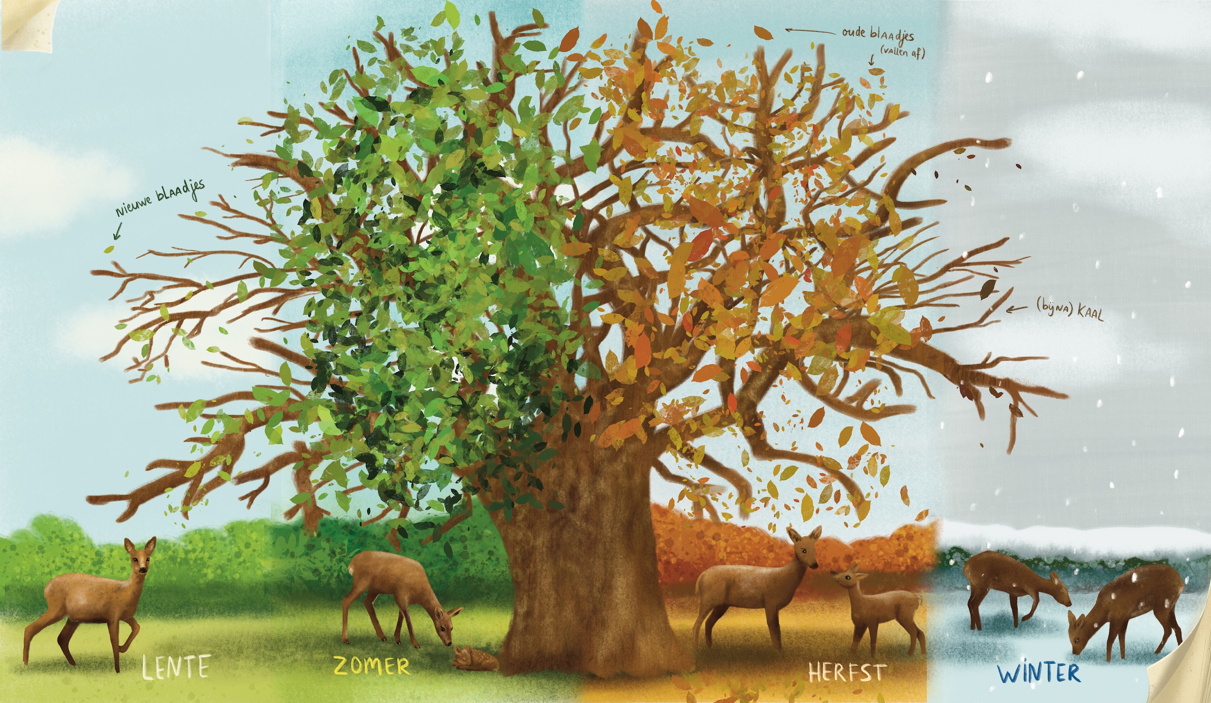 Illustrator Kim Merel: ‘Als kind liep ik al vol verwondering buiten ...