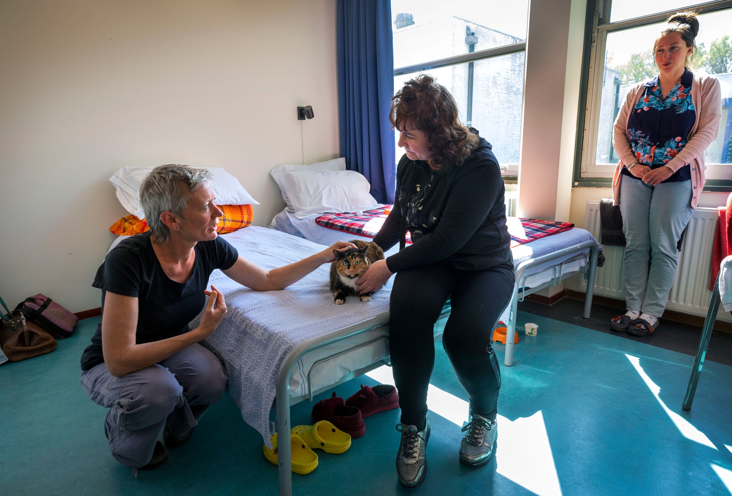 Huisdieren vluchten mee met hun Oekraïense baasjes. ‘Dit land is ...