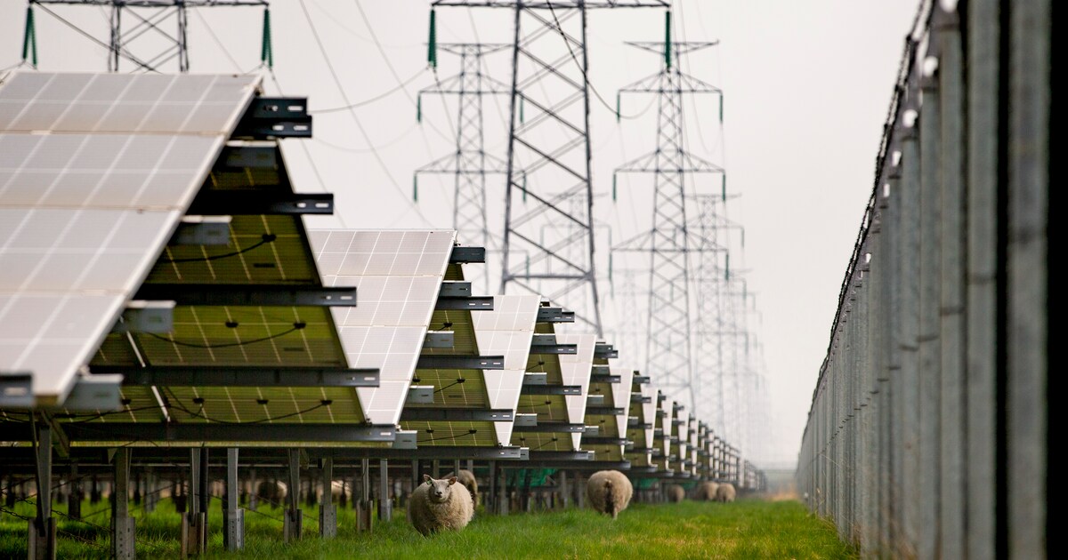 Waarom stroom op dit moment zo duur is | Trouw