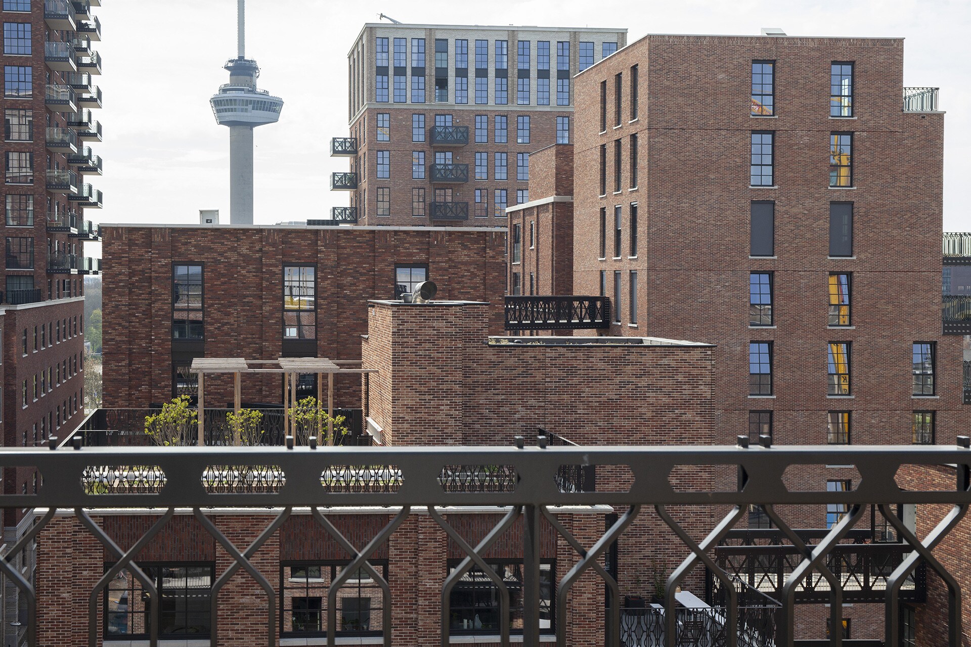 Een boom op het balkon dat je deelt met de buren: zo woont Nederland in ...
