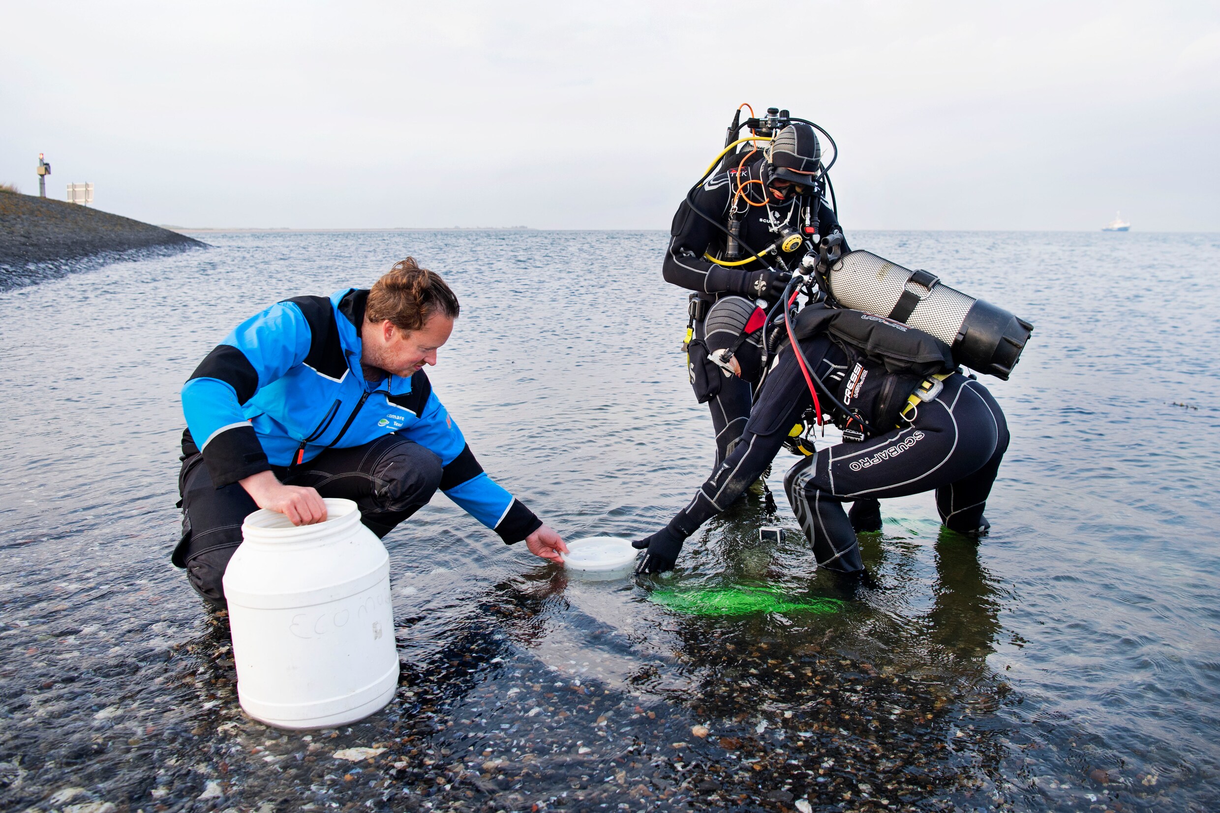 Ecomare redt zeepaardjes van onderkoeling, en dan duiken ze het water ...