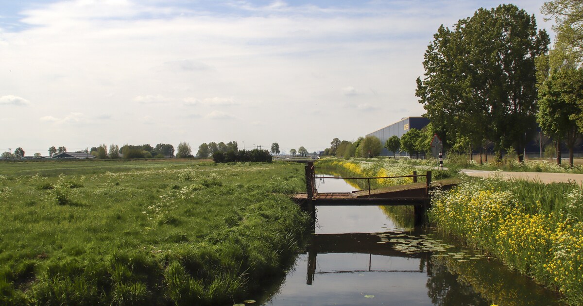 Van der Wal ziet meer EU-landen met zorgen over invoering van ...