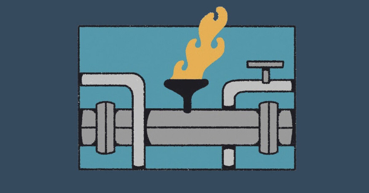 Dag 2: Hans Roest | Trouw