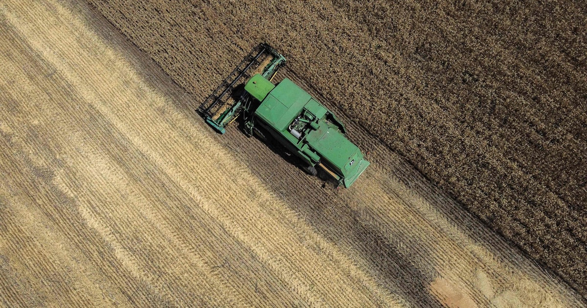 Komt de export van graan uit Oekraïne dan eindelijk op gang? Dat zou ...
