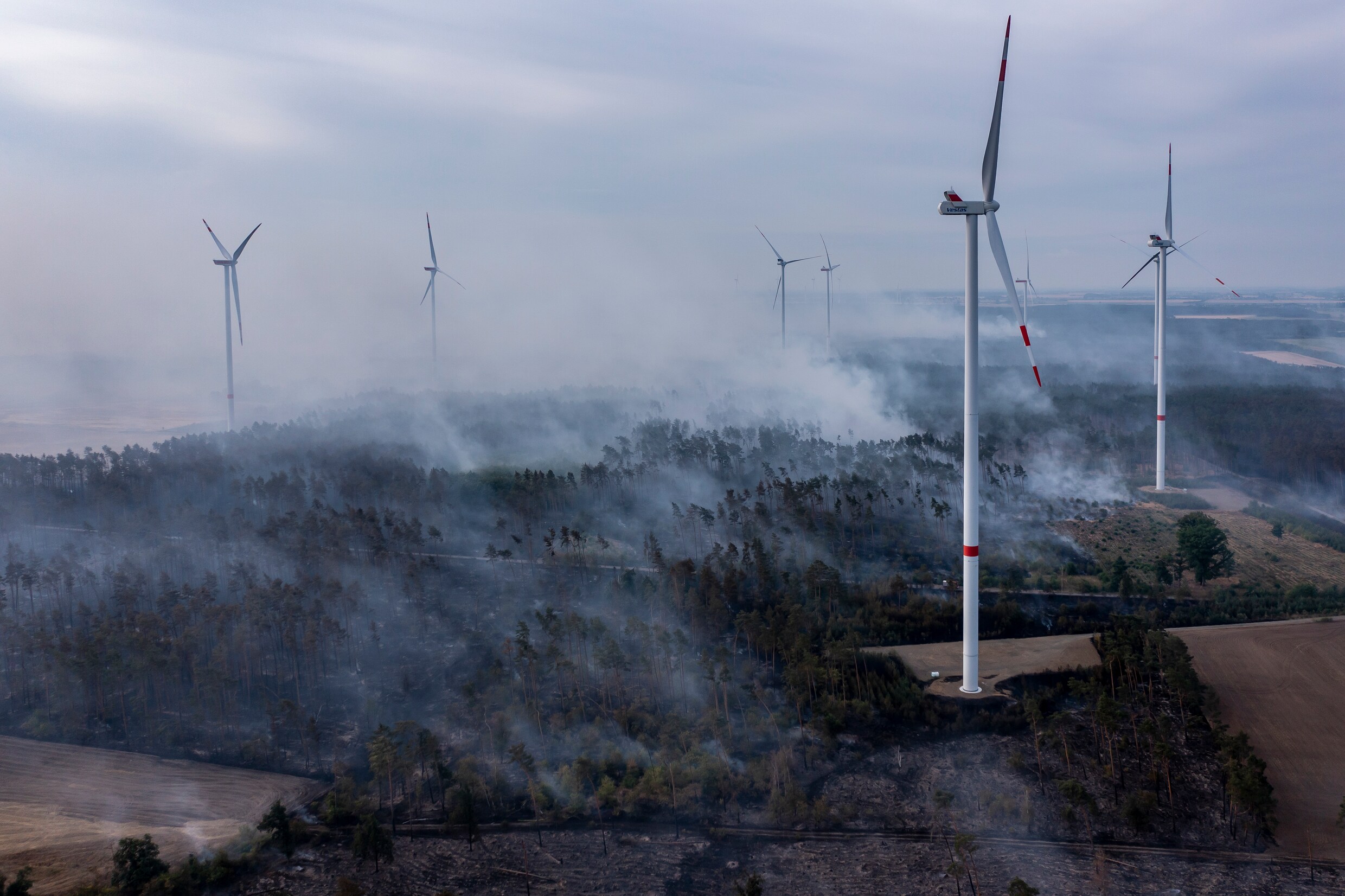 De Europese bossen branden, wat kunnen landen doen om bosbrand te ...