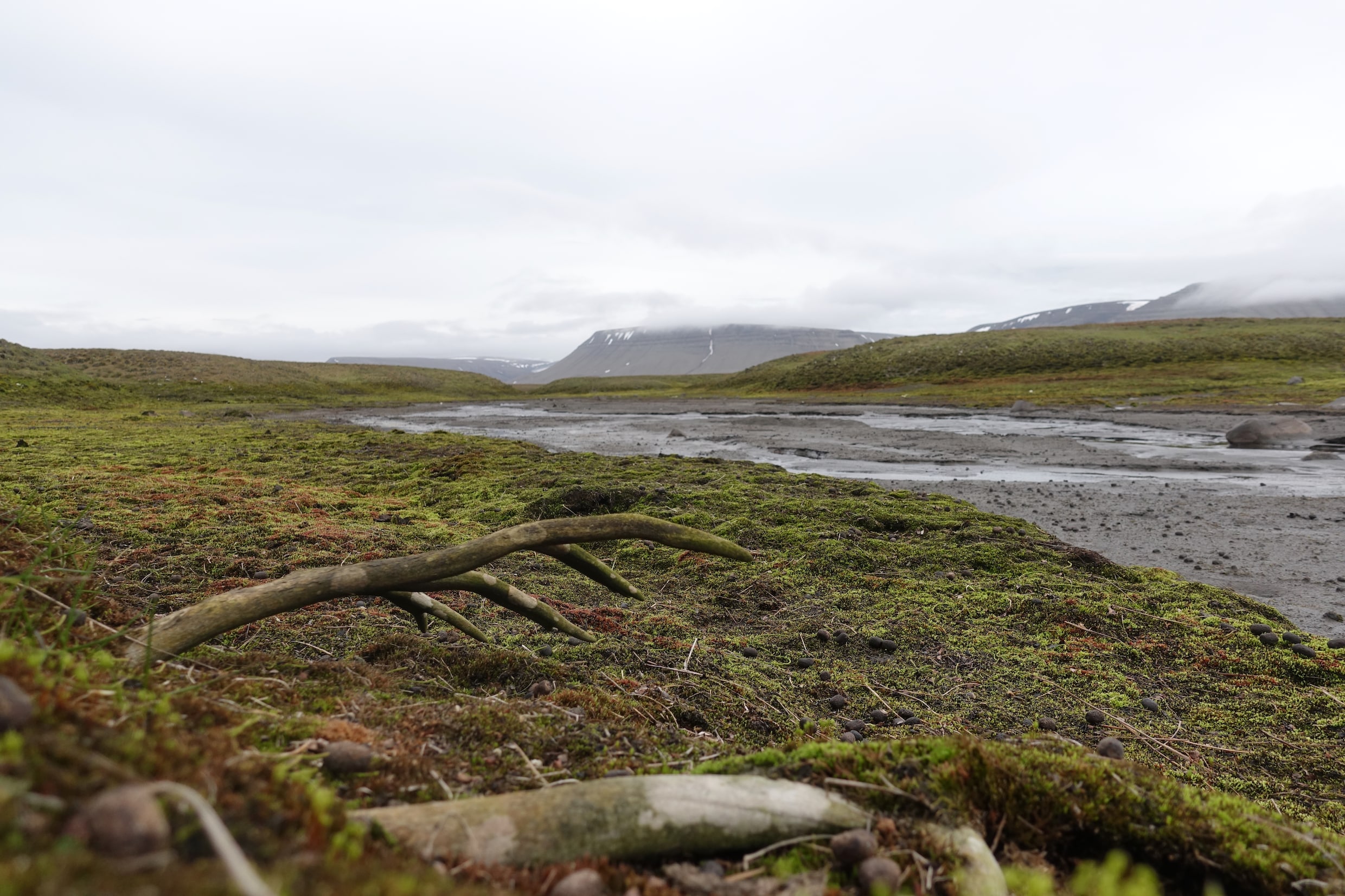 De koude toendra is de perfecte vrieskist voor de geschiedenis van ...