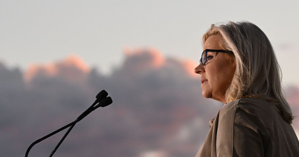 Stem tegen Trump kost ook Liz Cheney haar zetel, maar ze zal hem ...