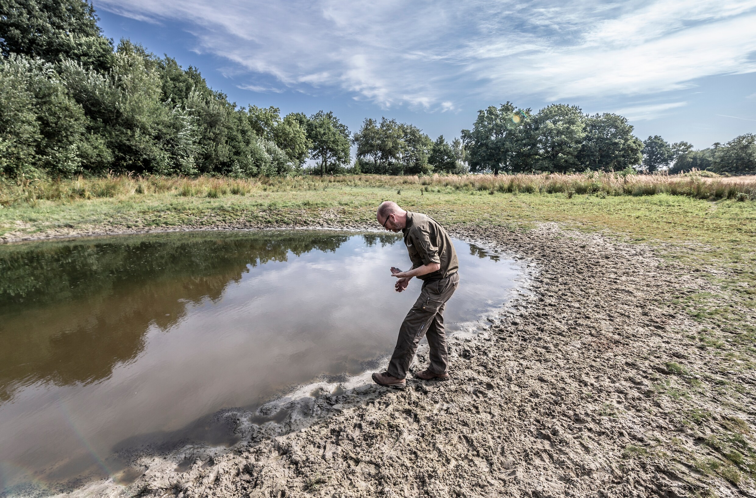 Grensmoeras keert terug als klimaatbuffer | Trouw