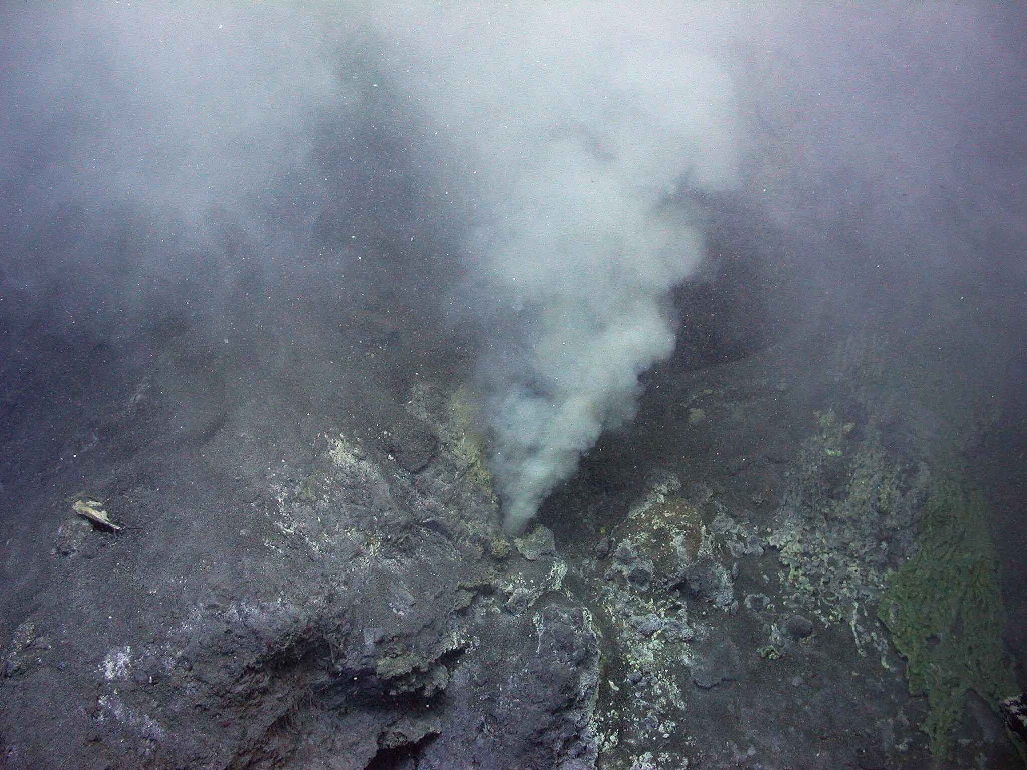 Het leven koos niet de ideale weg, maar heeft een betoverende chemie ...