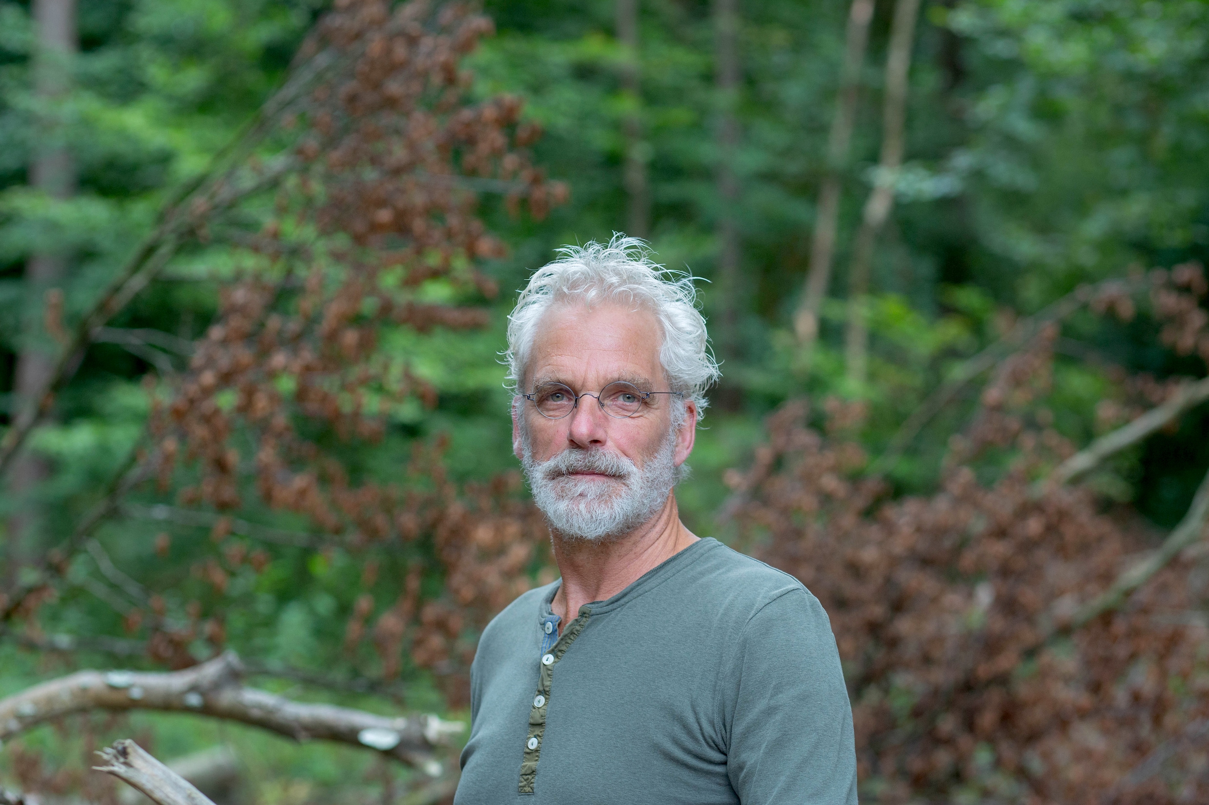 Stoppen met het kappen van Nederlandse bomen? ‘Dat is neokolonialisme ten top!’ | Trouw