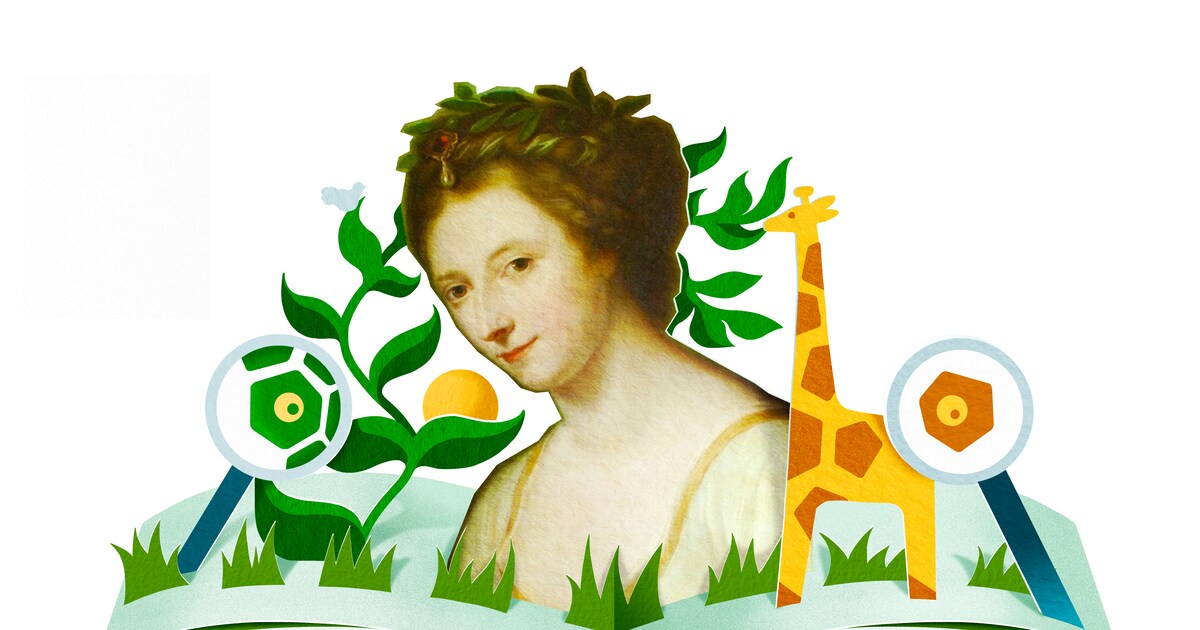 Filosoof Anne Conway (1631-1679) verzette zich tegen de strikte ...