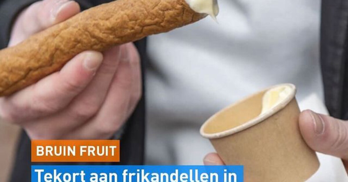 Absurde, kneuterige nieuwtjes als remedie tegen weltschmerz | Trouw