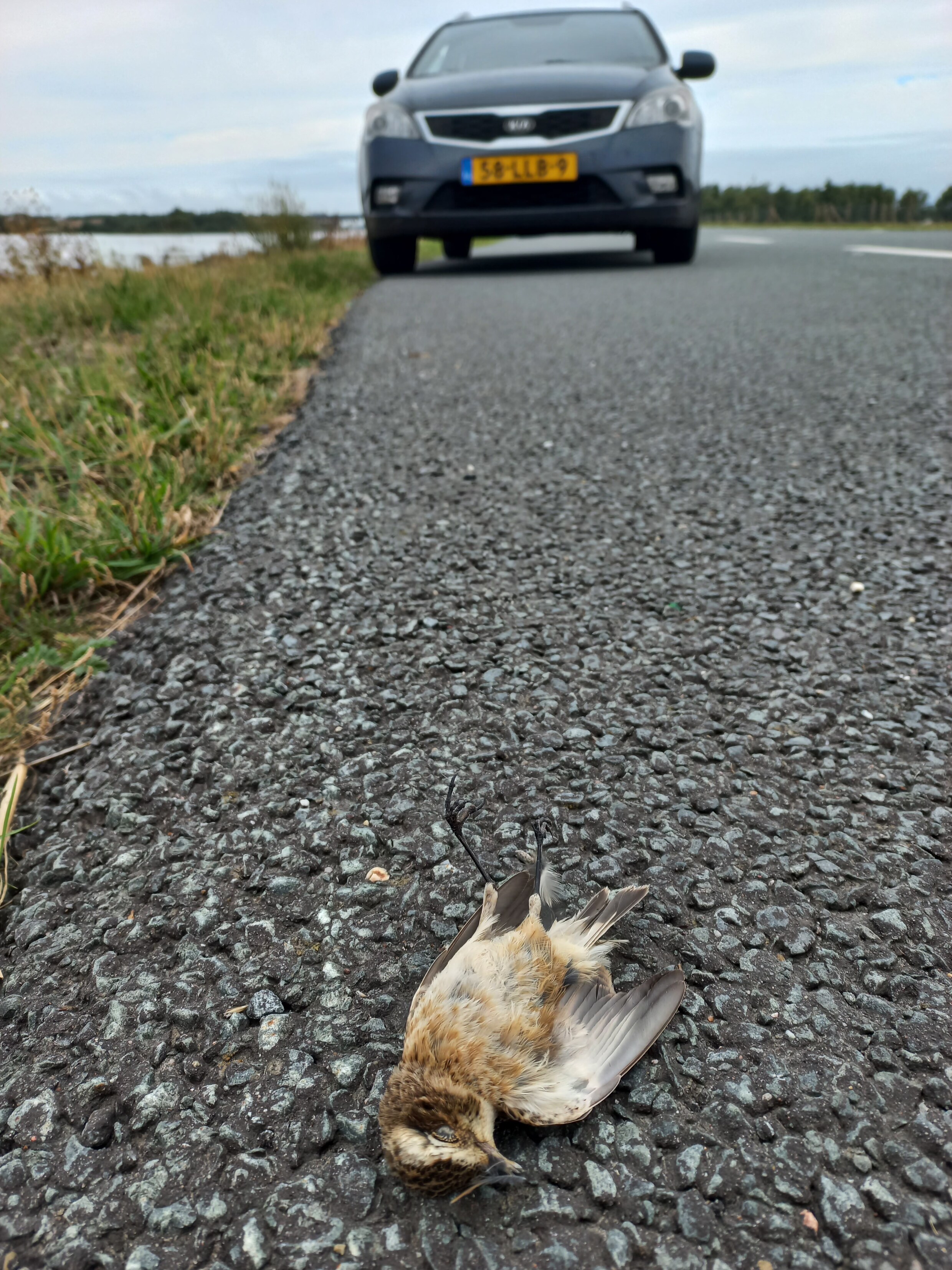 Weer een paapje minder | Trouw