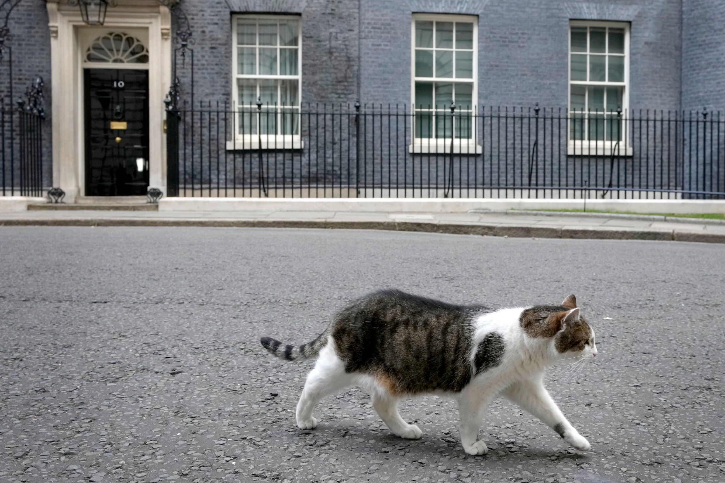 Deze bewoner van Downing Street 10 bijt wél van zich af | Trouw