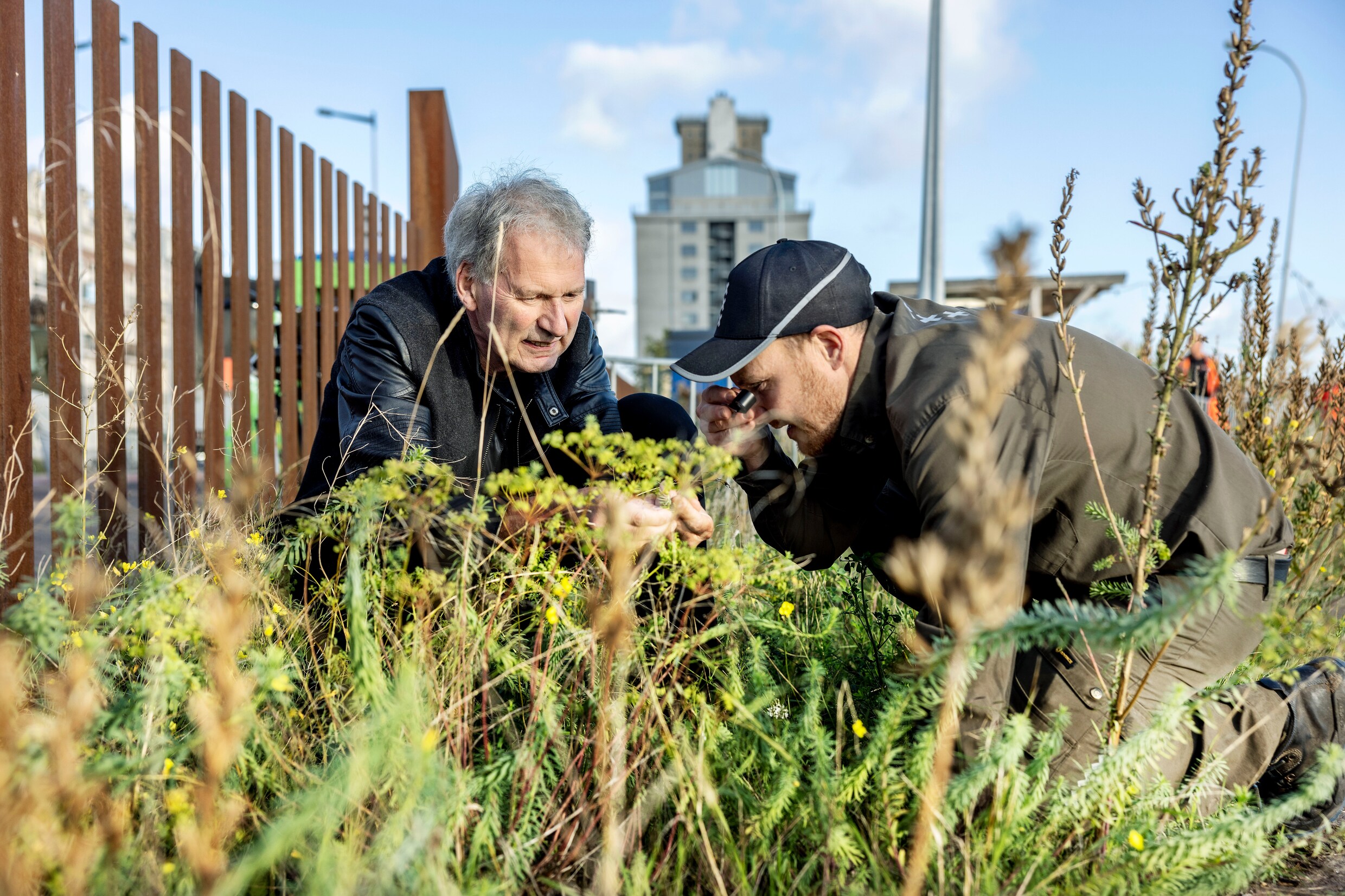 ‘Botanische hotspot’ Amsterdam stelt een eigen lijst met te beschermen ...