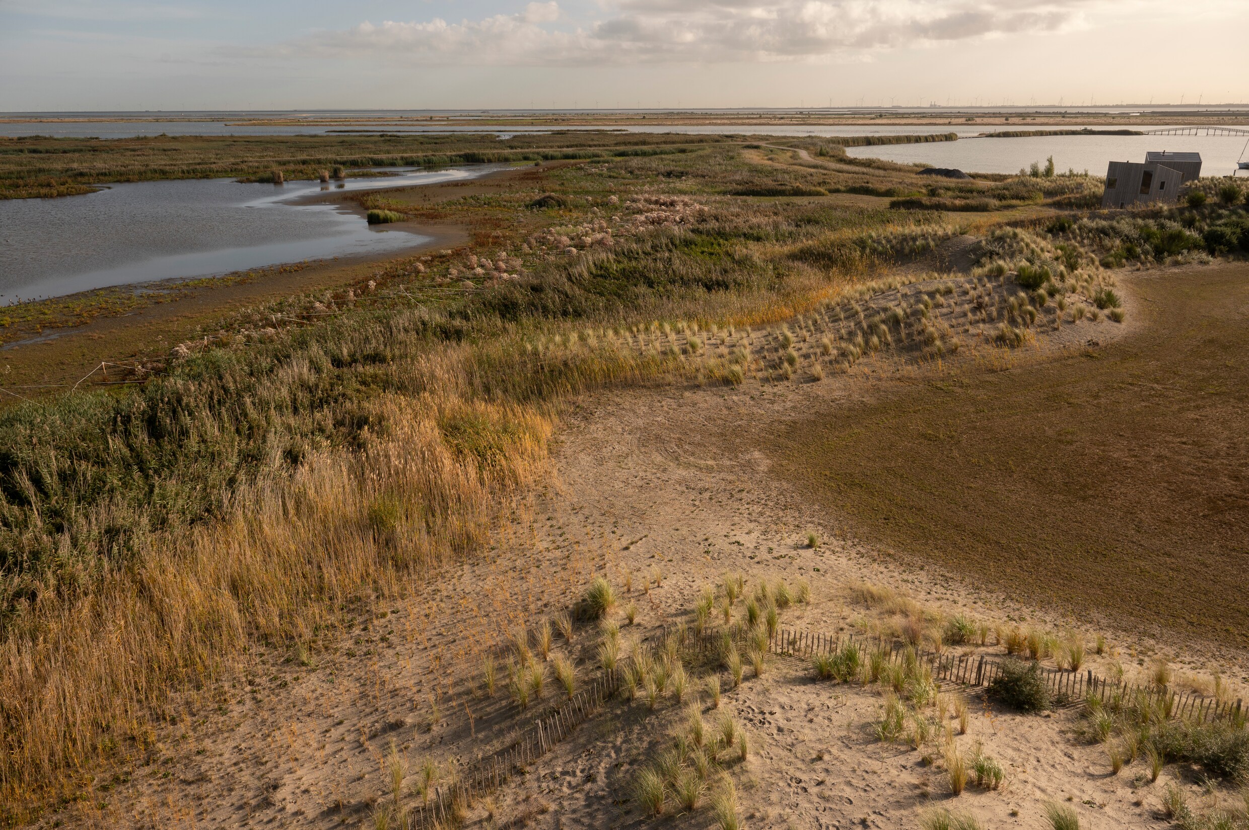 Marker Wadden blijken doorslaand succes als project voor natuurherstel ...