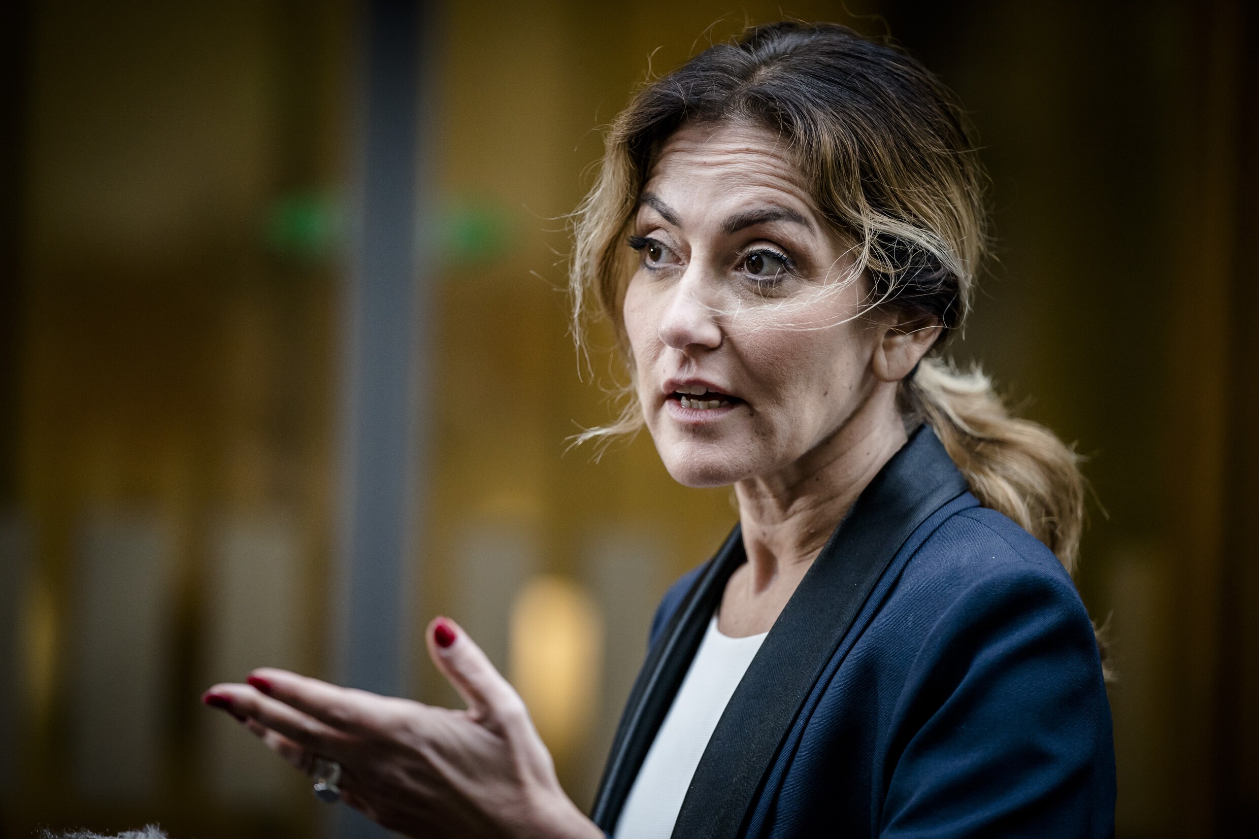 Straf of alleen wat ophef: tussen vergelijkingen met de Holocaust ...