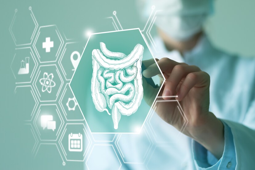 Pijn is niet fijn, maar het zorgt wel voor een gezonde darmflora | Trouw