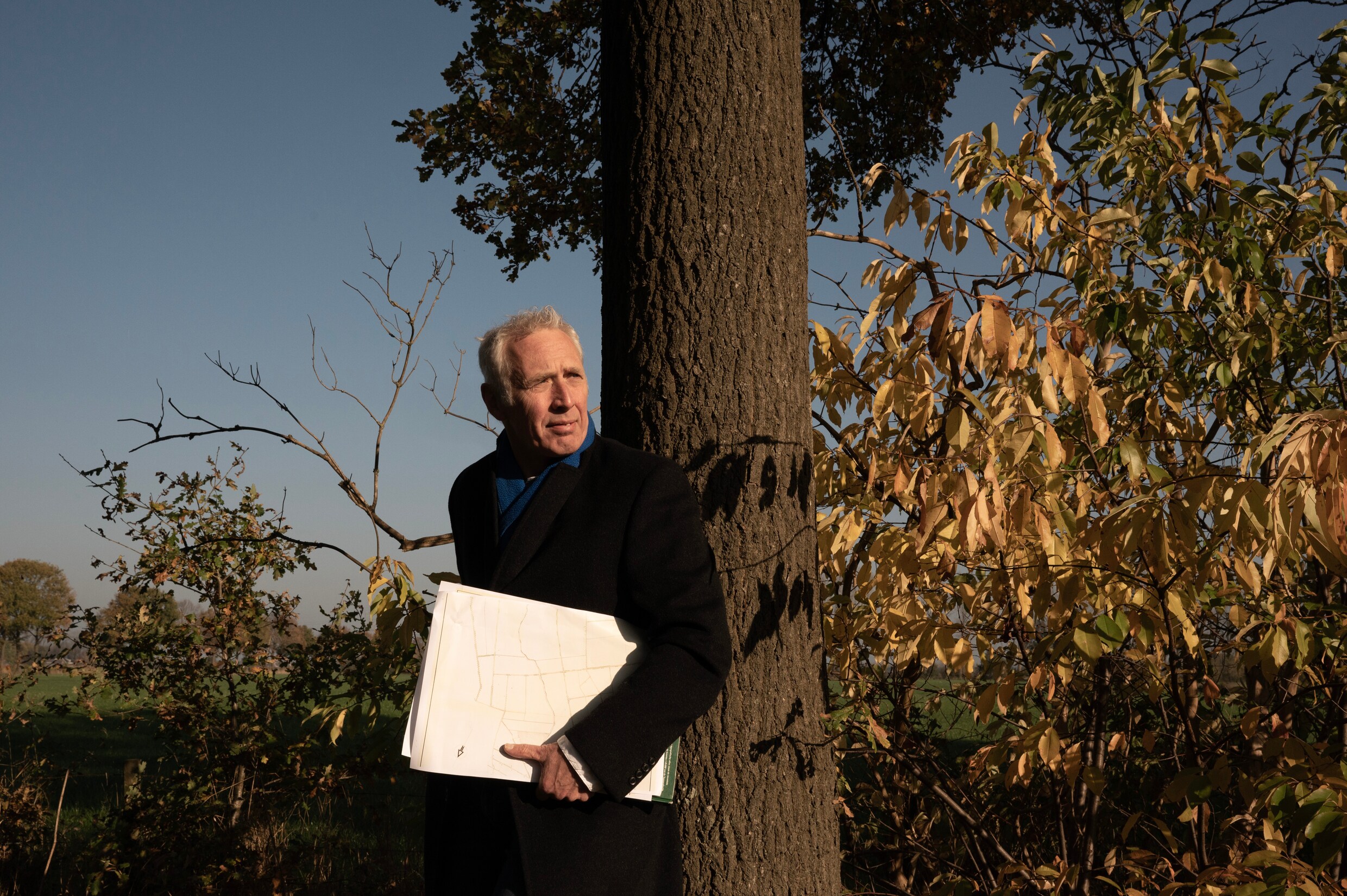 Deze bomen en struiken zijn Nederlands grootste kunstwerk | Trouw