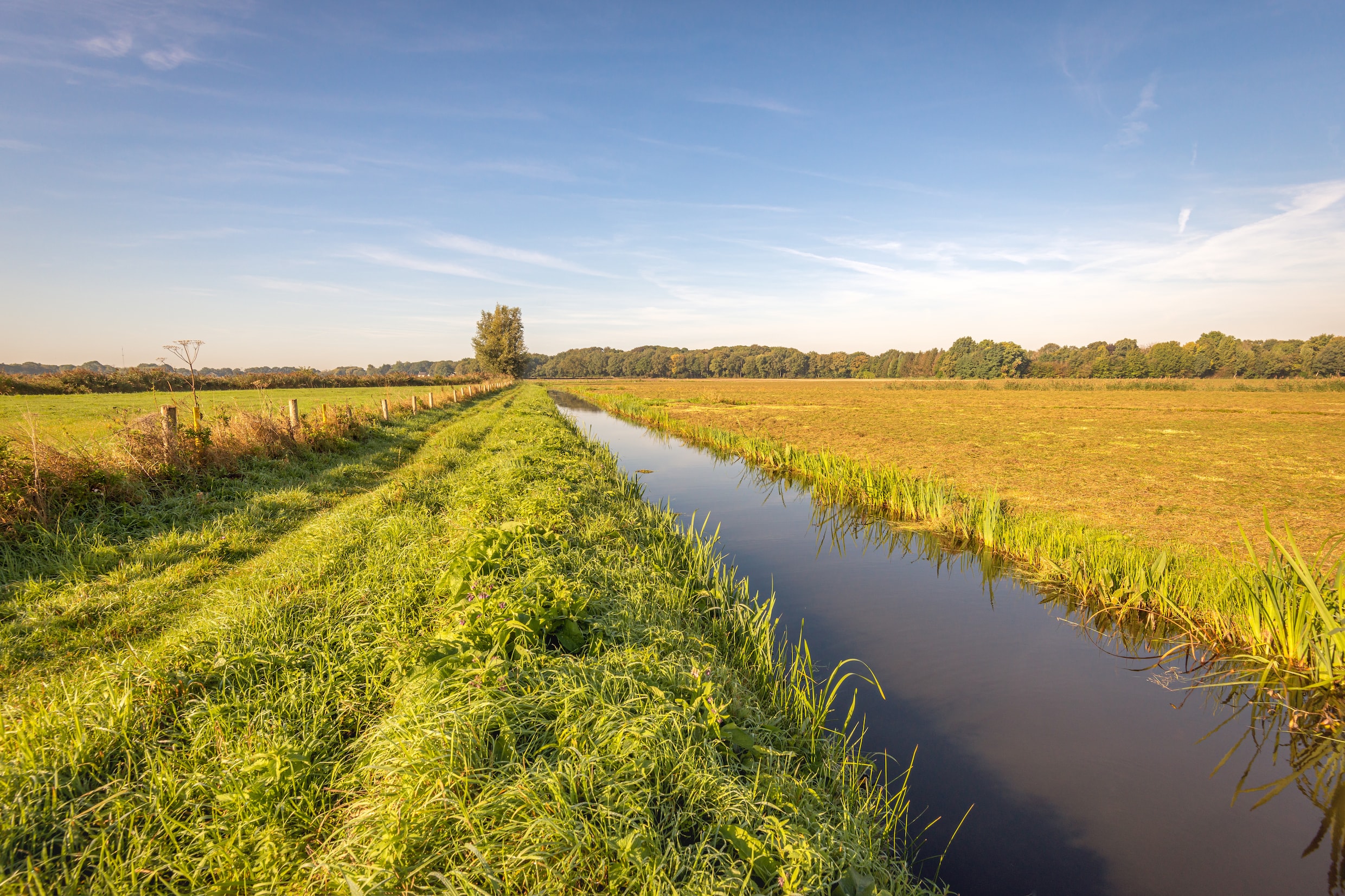 Kwaliteit van water in sloten en grachten sterk onder de maat | Trouw