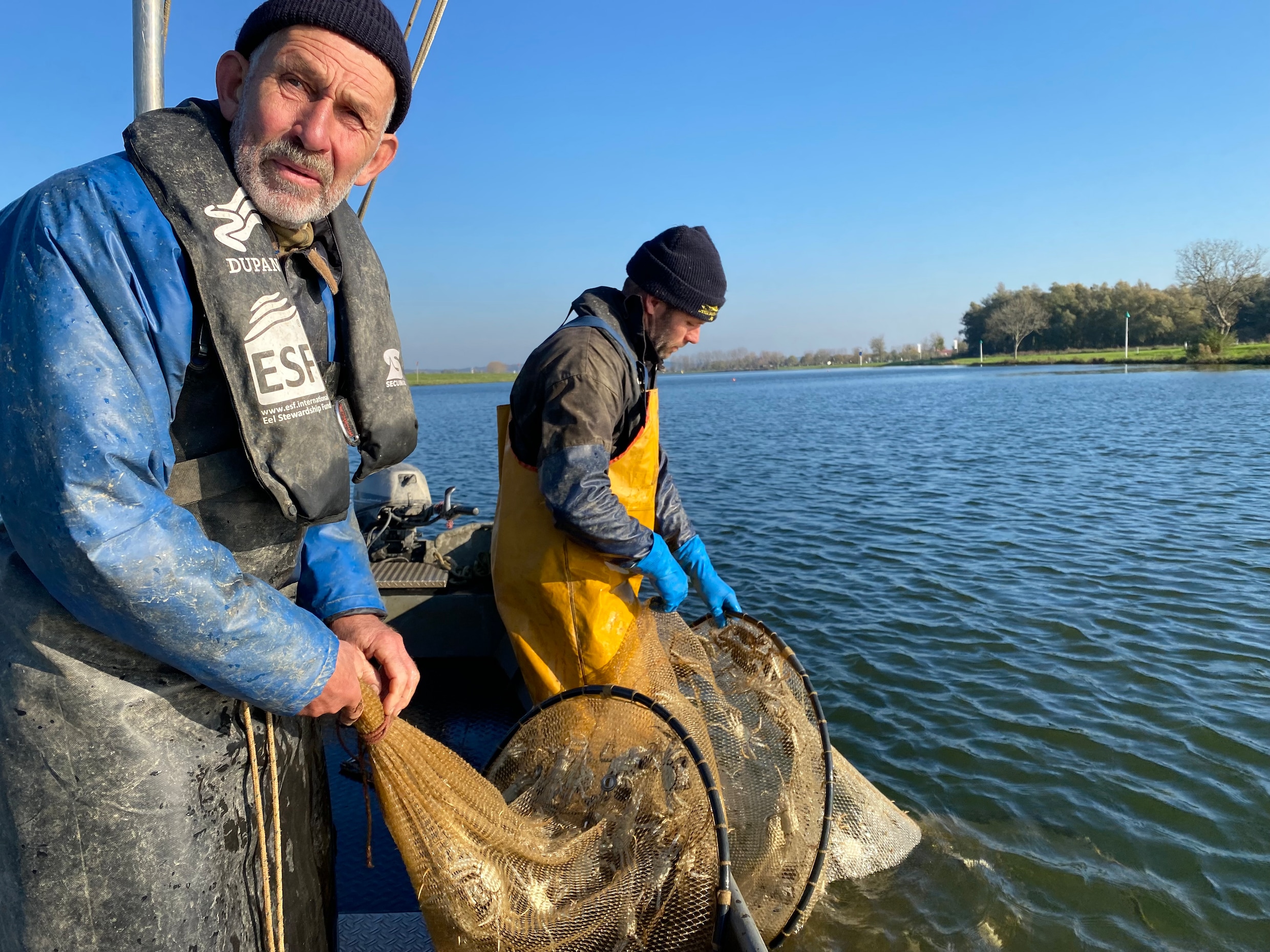 Er gloort hoop voor de paling, althans in Nederland | Trouw