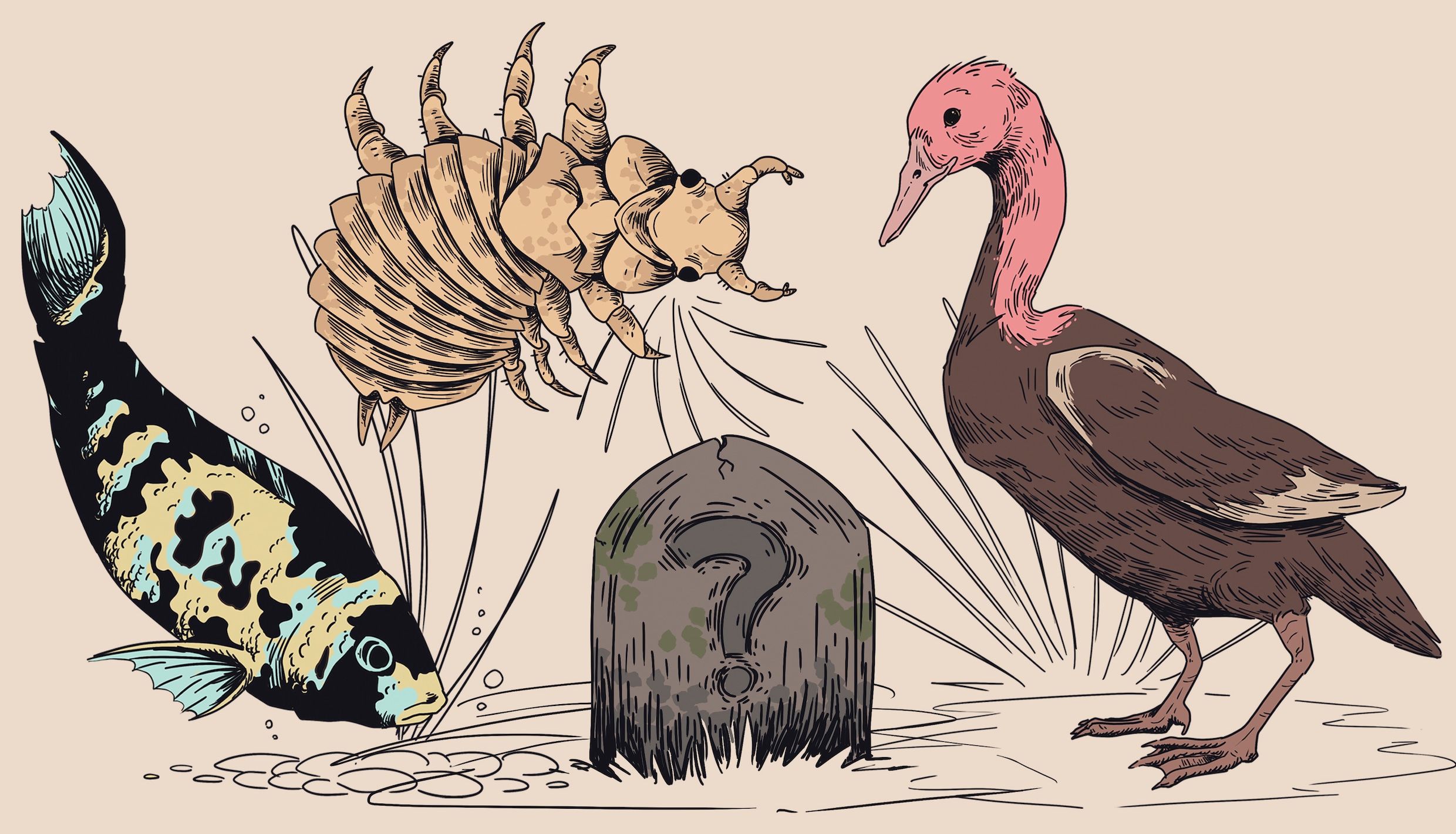 Van deze uitgestorven dieren ontbreekt ieder spoor | Trouw