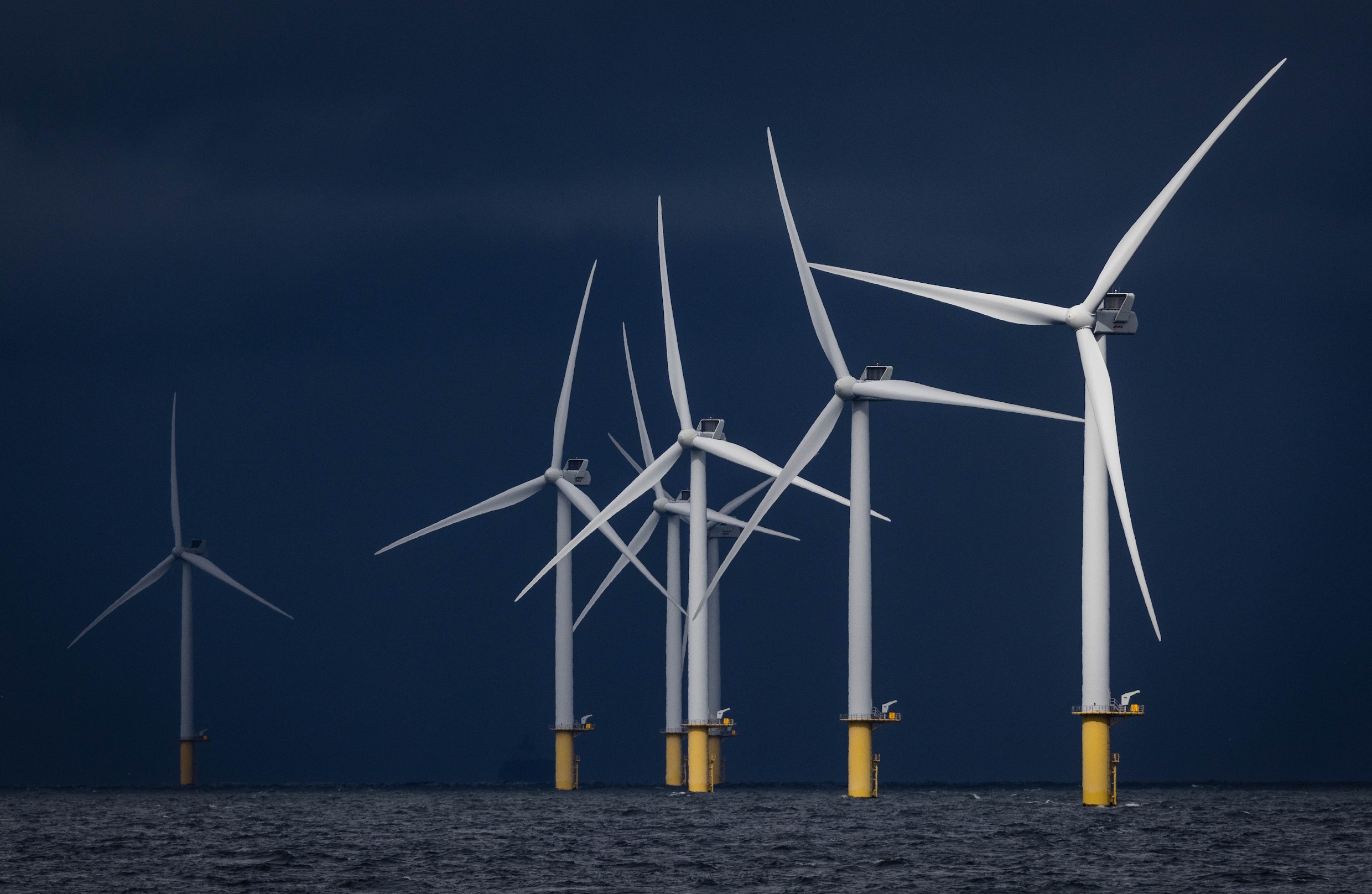 In het grootste natuurgebied van Nederland – de Noordzee – spelen ...