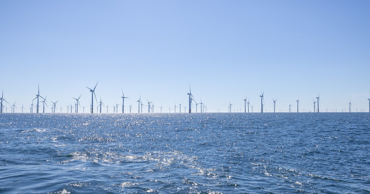 Shell en Eneco beloven een ‘natuurvriendelijk’ windmolenpark in zee ...