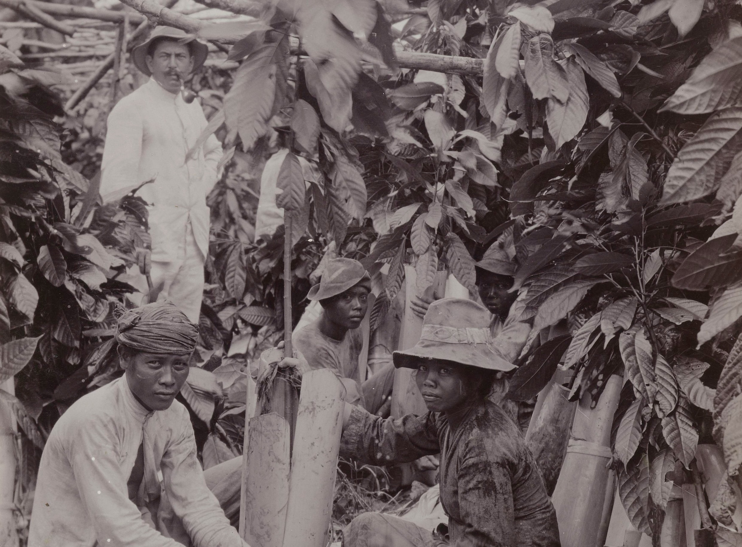 Onderzoekers Staat en Slavernij verrast door ‘19 december’ | Trouw