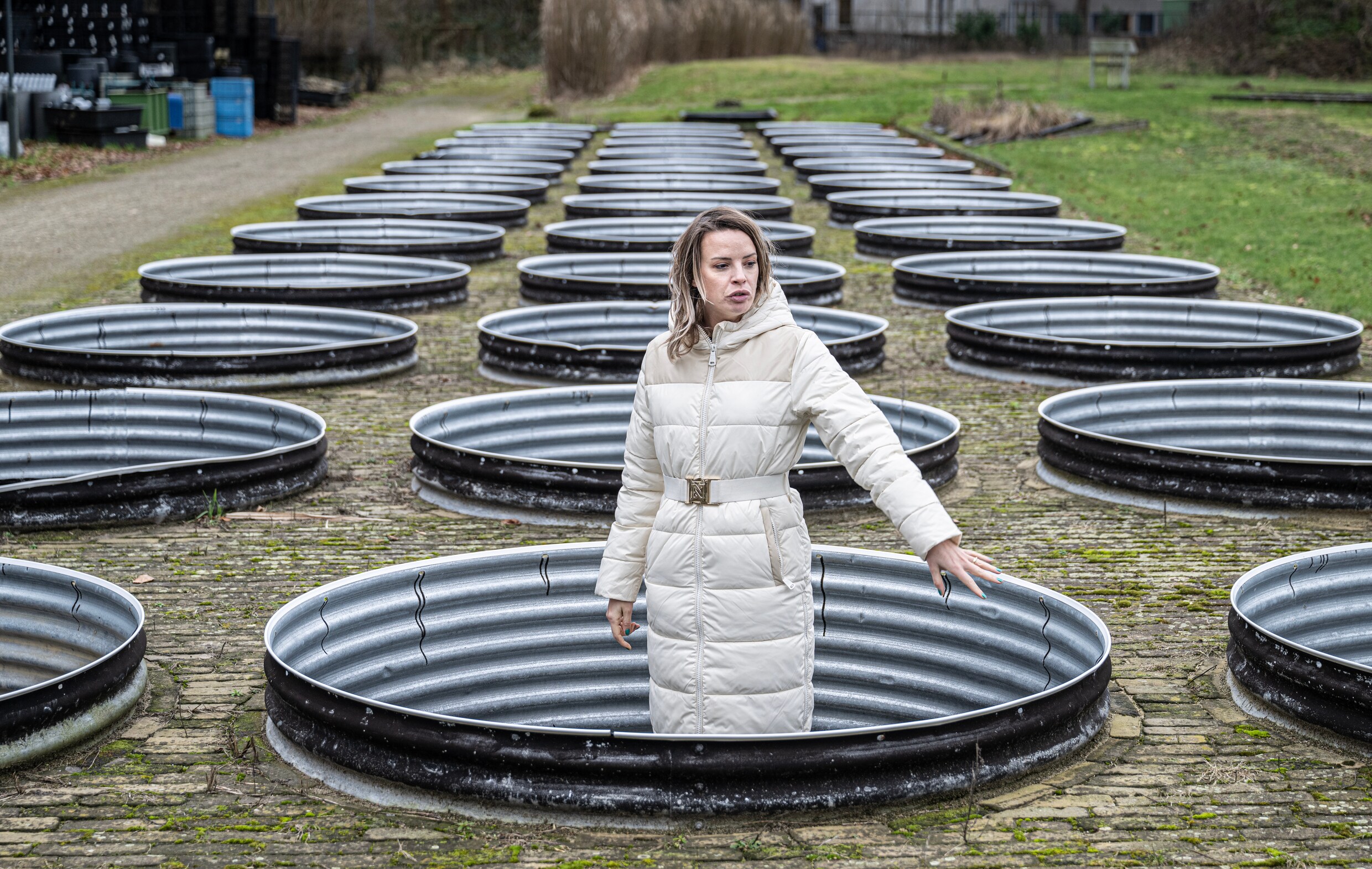 Een nieuw puzzelstukje in de bestrijding van de Japanse duizendknoop ...