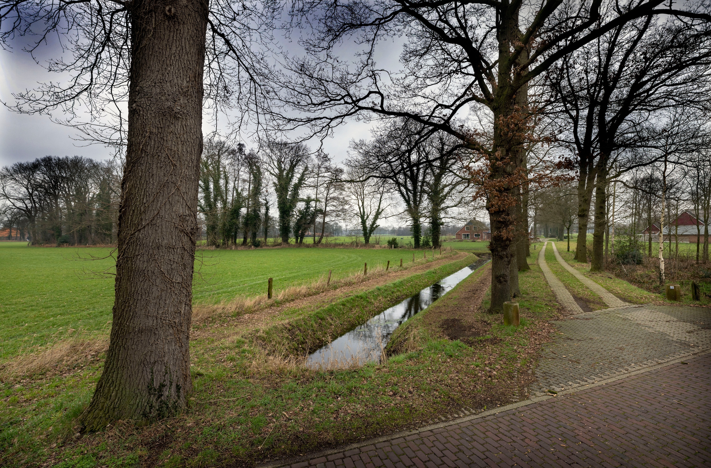 Oproep aan het nieuwe kabinet: knoop die natuurgebieden nu eindelijk ...